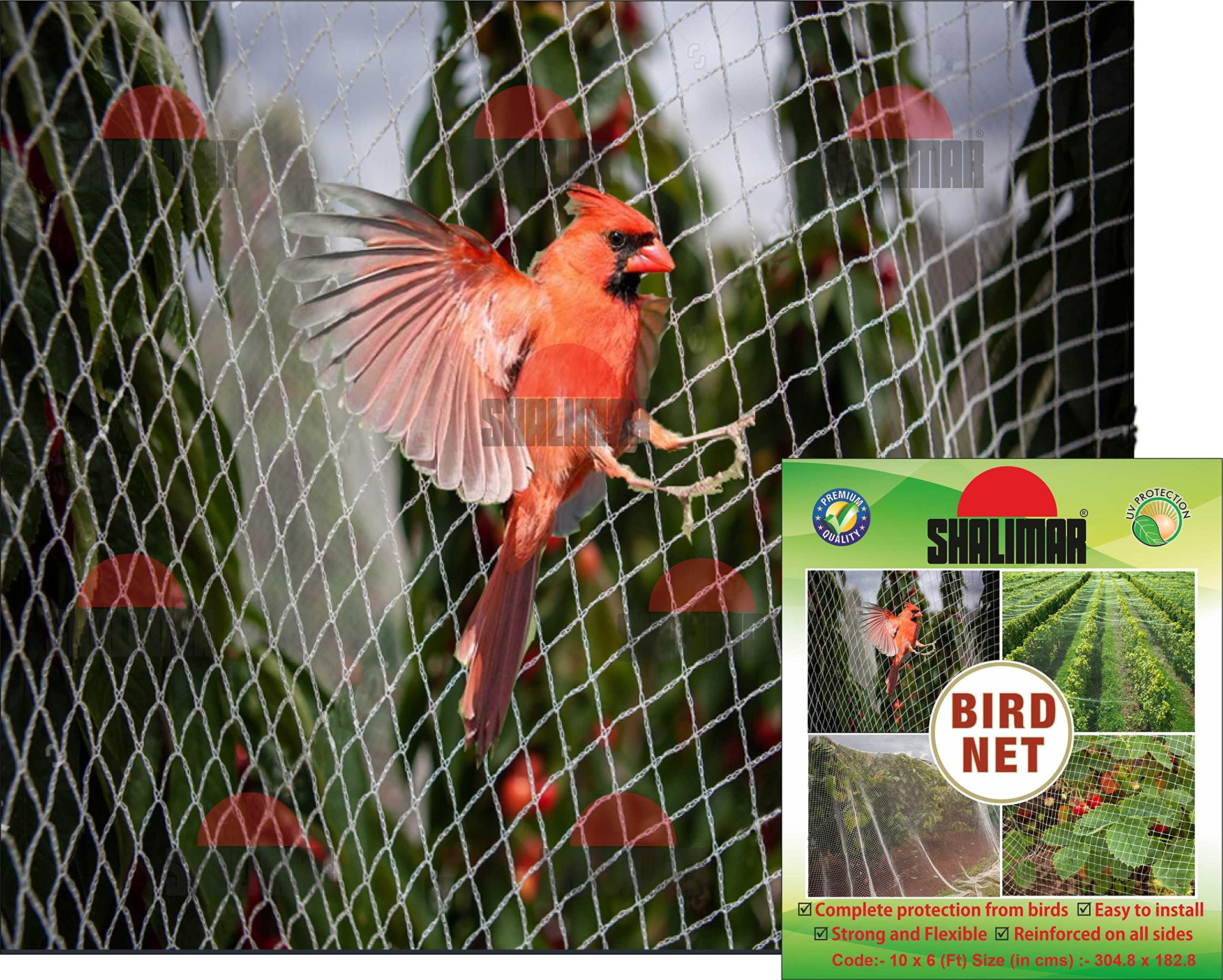 PIGEON CONTROL Anti Bird Net (8 feet x 12 feet),White : Amazon.in ...