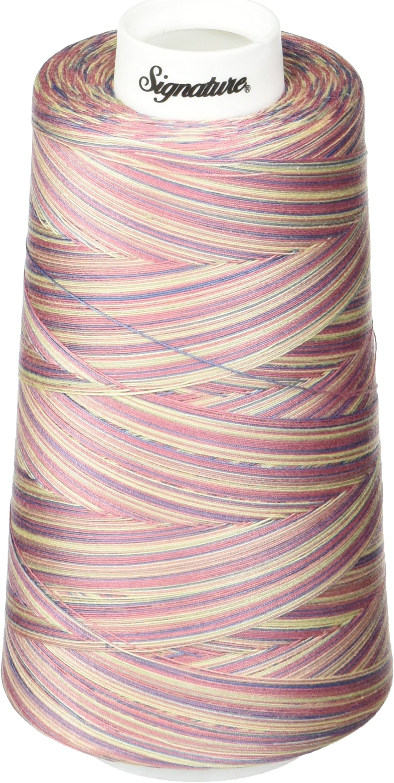 Amazon.com: Signature Thread, 40wt/3000 yd, Variegated Grassy Greens