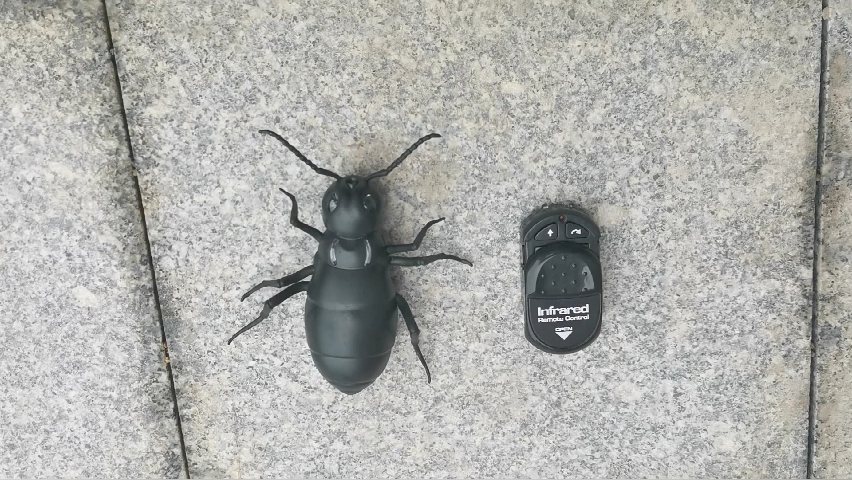 Watch rc ants remote control insect animal prank toy kids gifts on ...