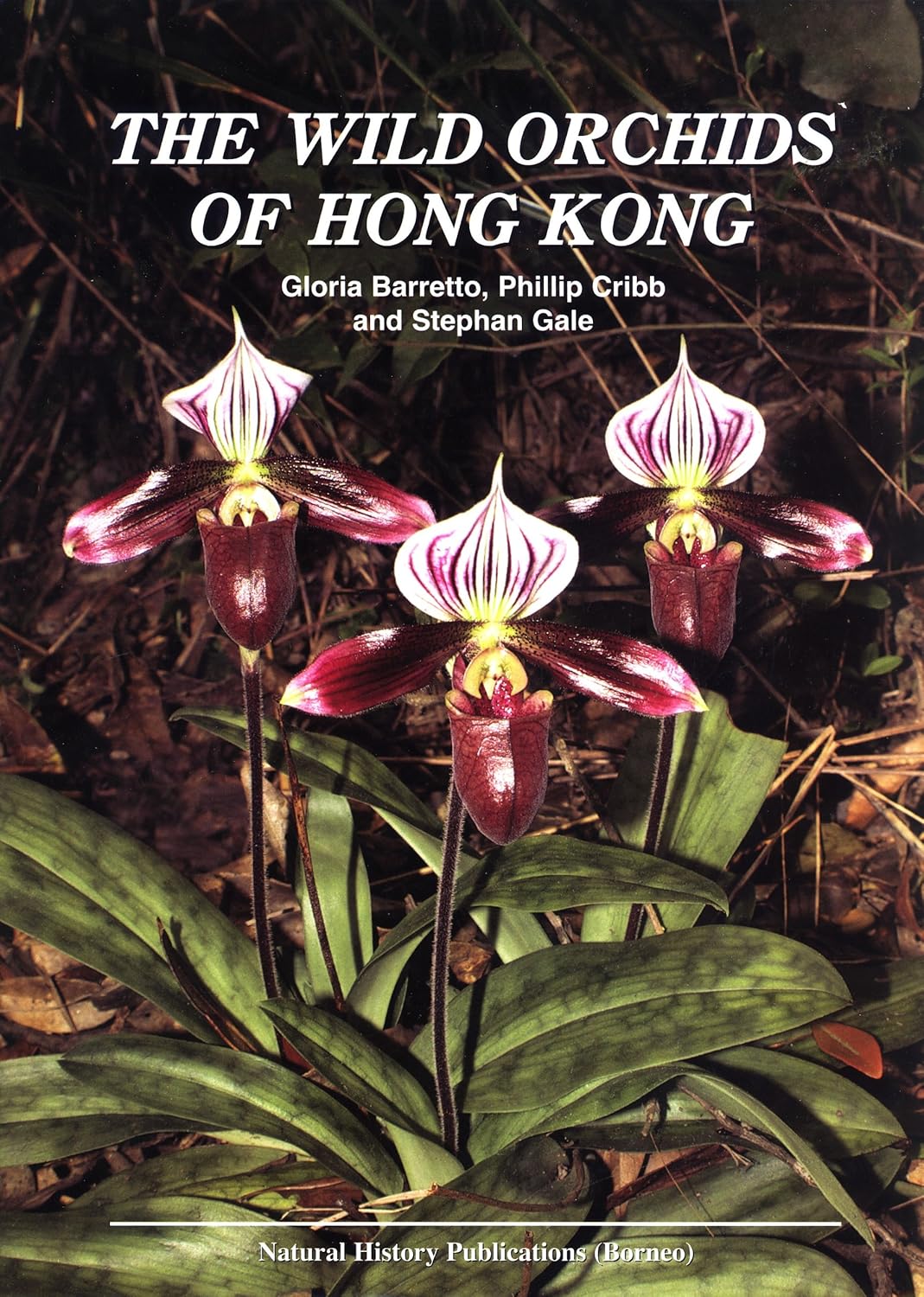 The Wild Orchids of Hong Kong: Gloria Barretto, Phillip Cribb, Stephan ...