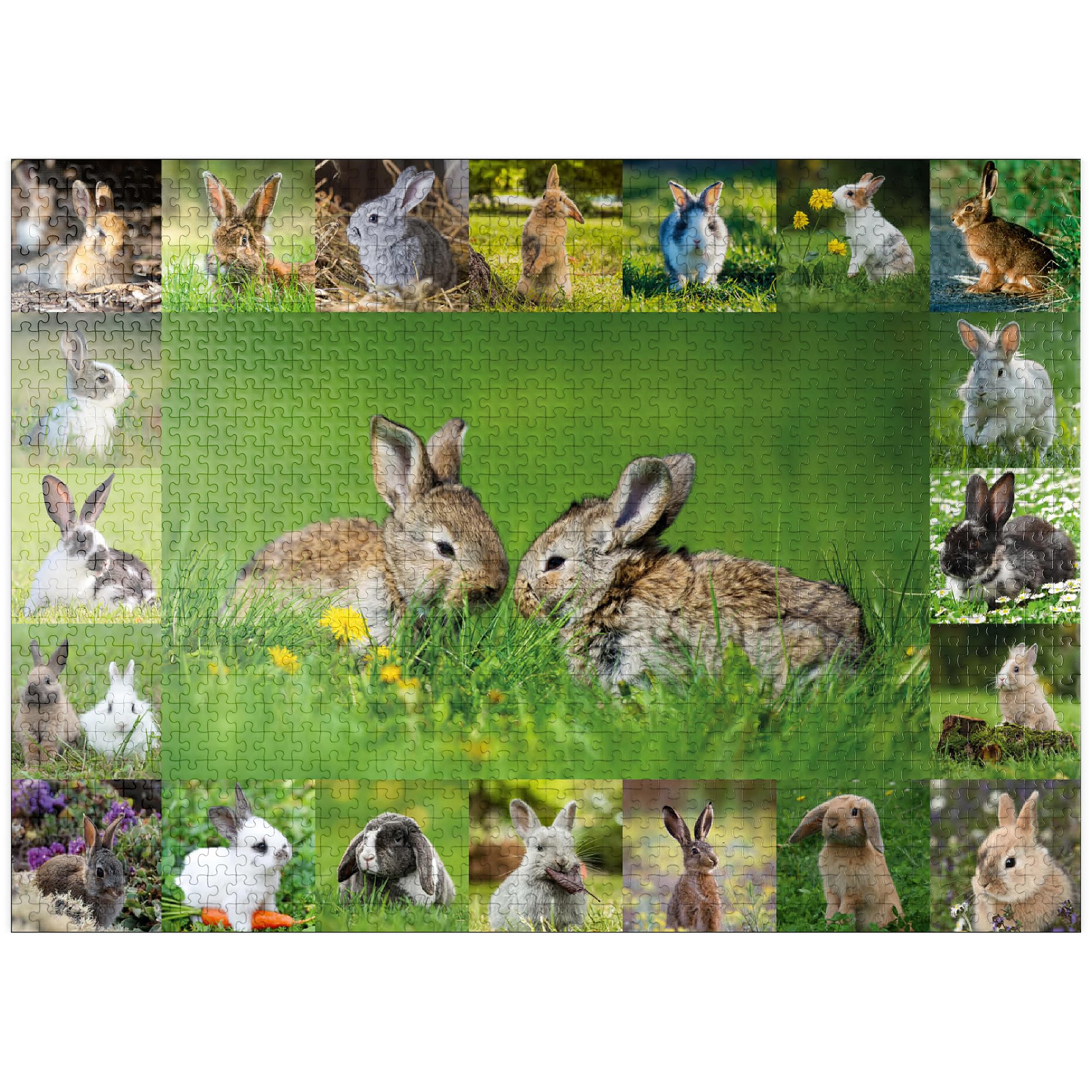 Amazon.com: MyPuzzle Bunnies & Rabbits - Collage No. 5 - Premium 1000 ...