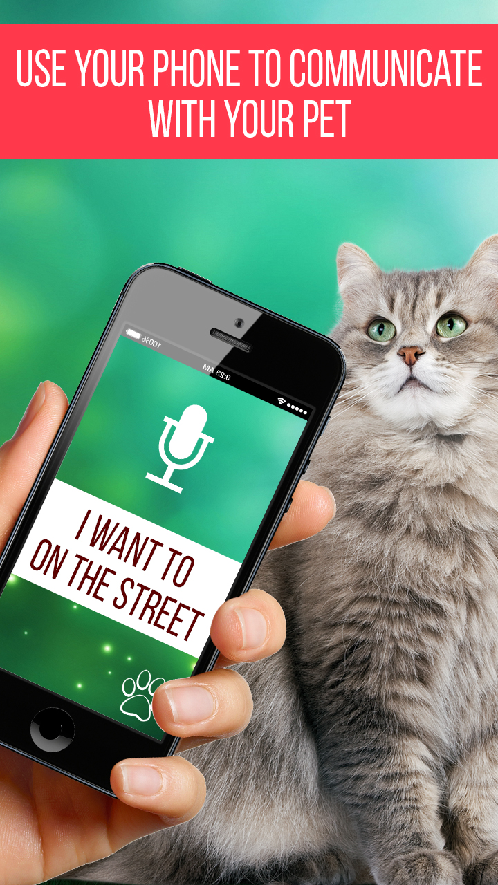 Cat Sound Translator Simulator - App on Amazon Appstore