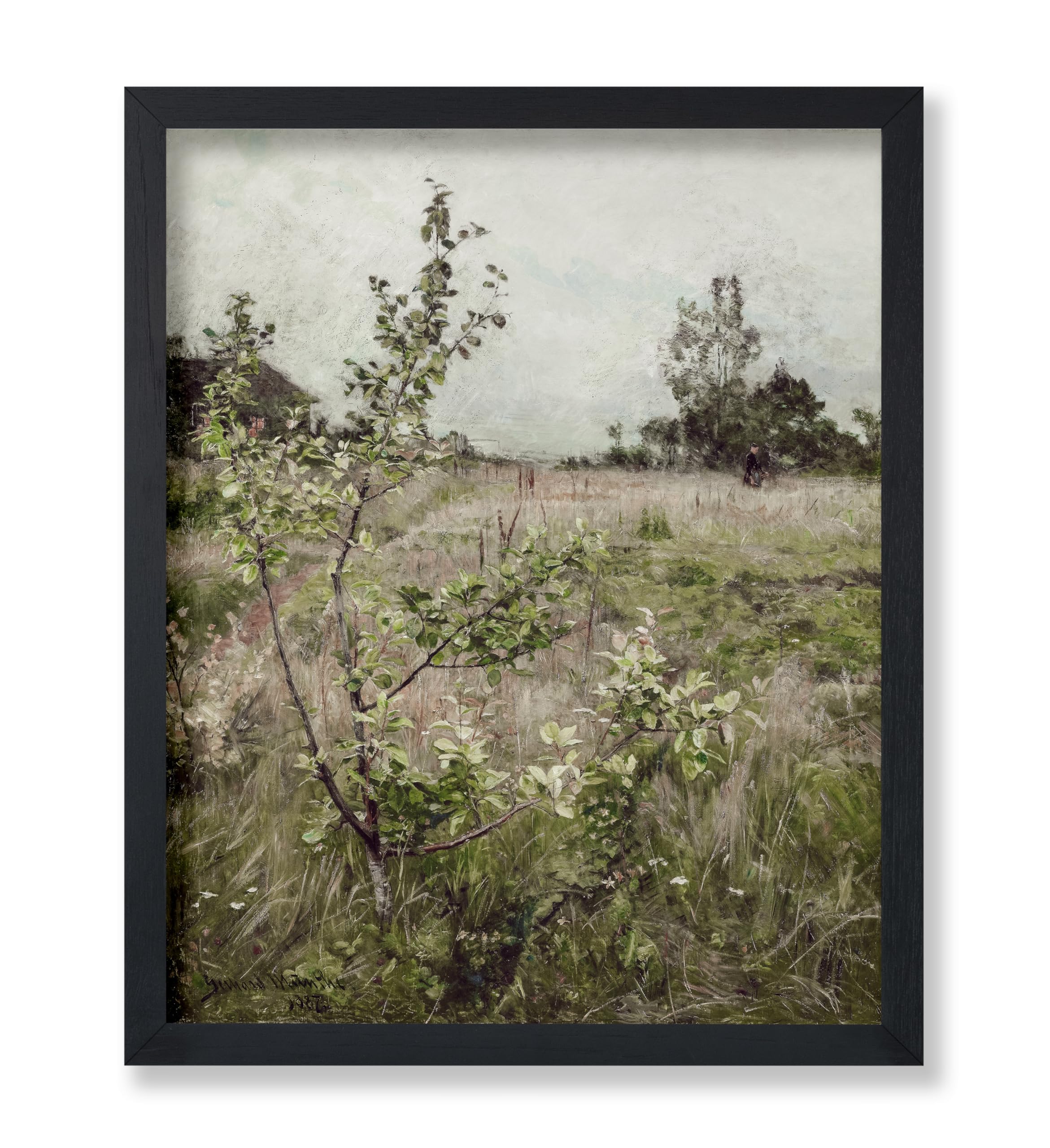 Amazon.com: Poster Master Vintage Field of Meadows Poster - Retro ...
