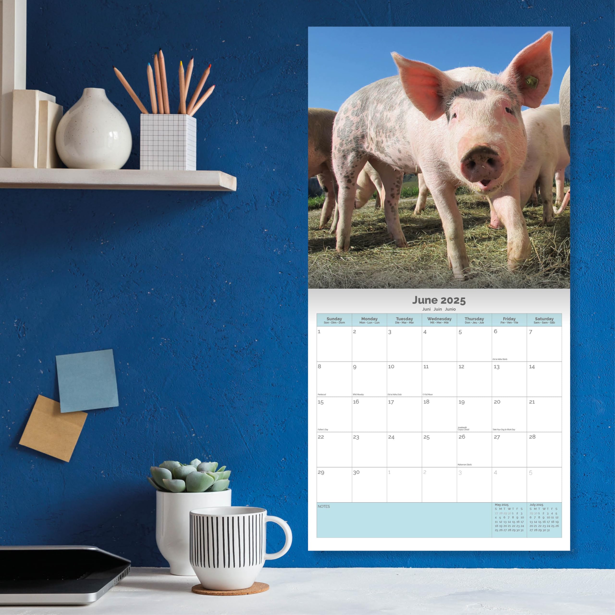 Dayplanner Publishing Pigs Calendar 2025, Large Square Wall Calendar ...
