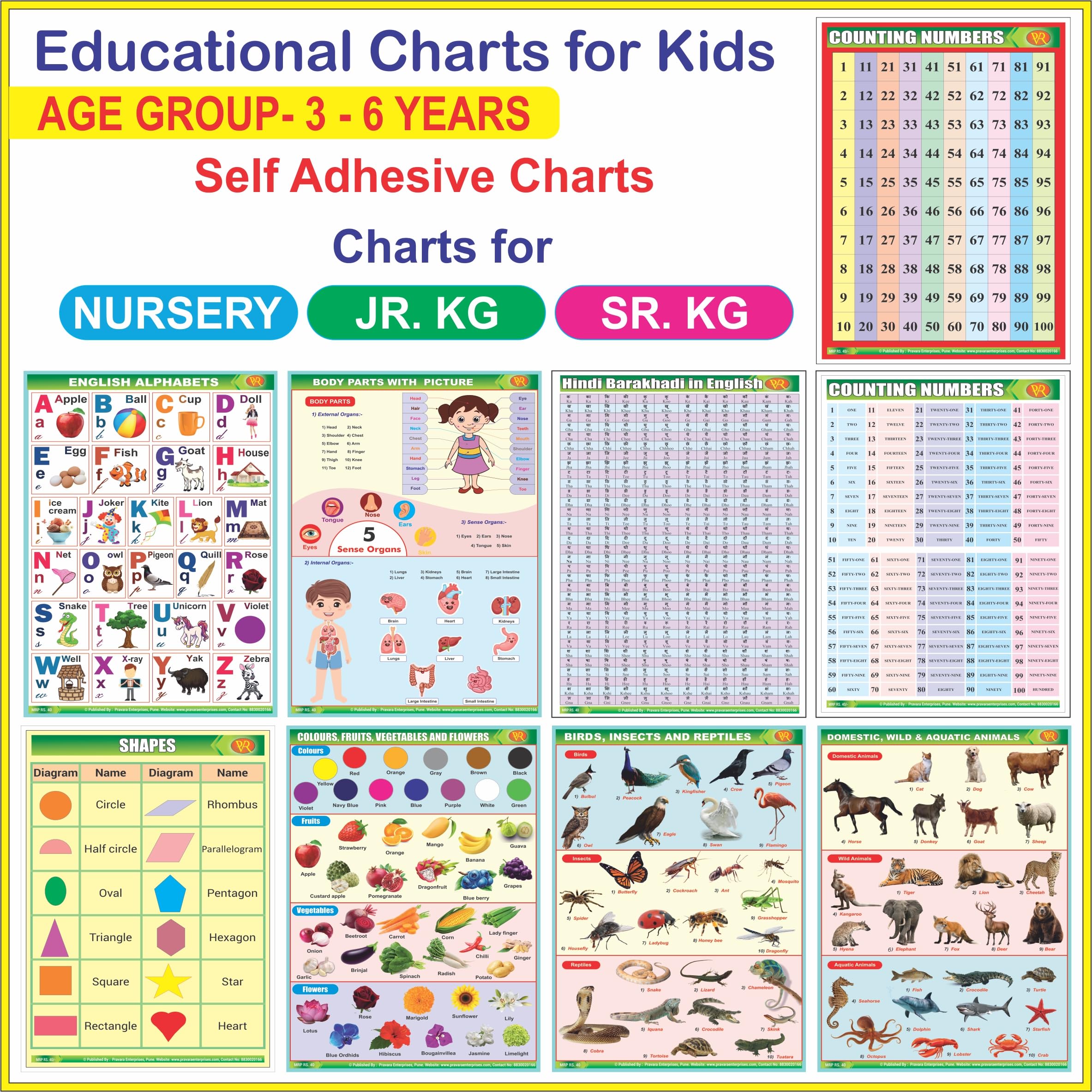 Buy 9 Charts – Alphabets abcd Chart, Colours Fruits Vegetables Flowers ...