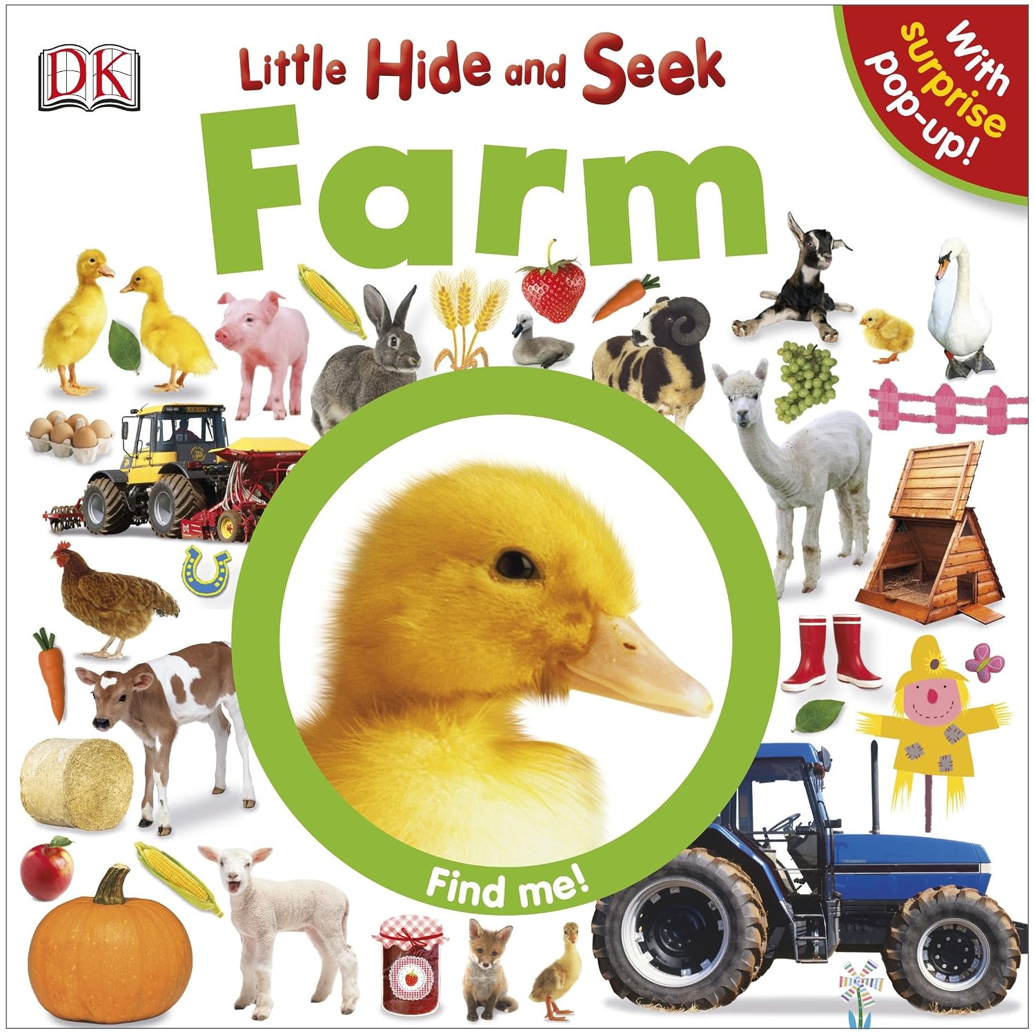Little Hide and Seek Farm: DKPublishing: 9781409330349: Amazon.com: Books