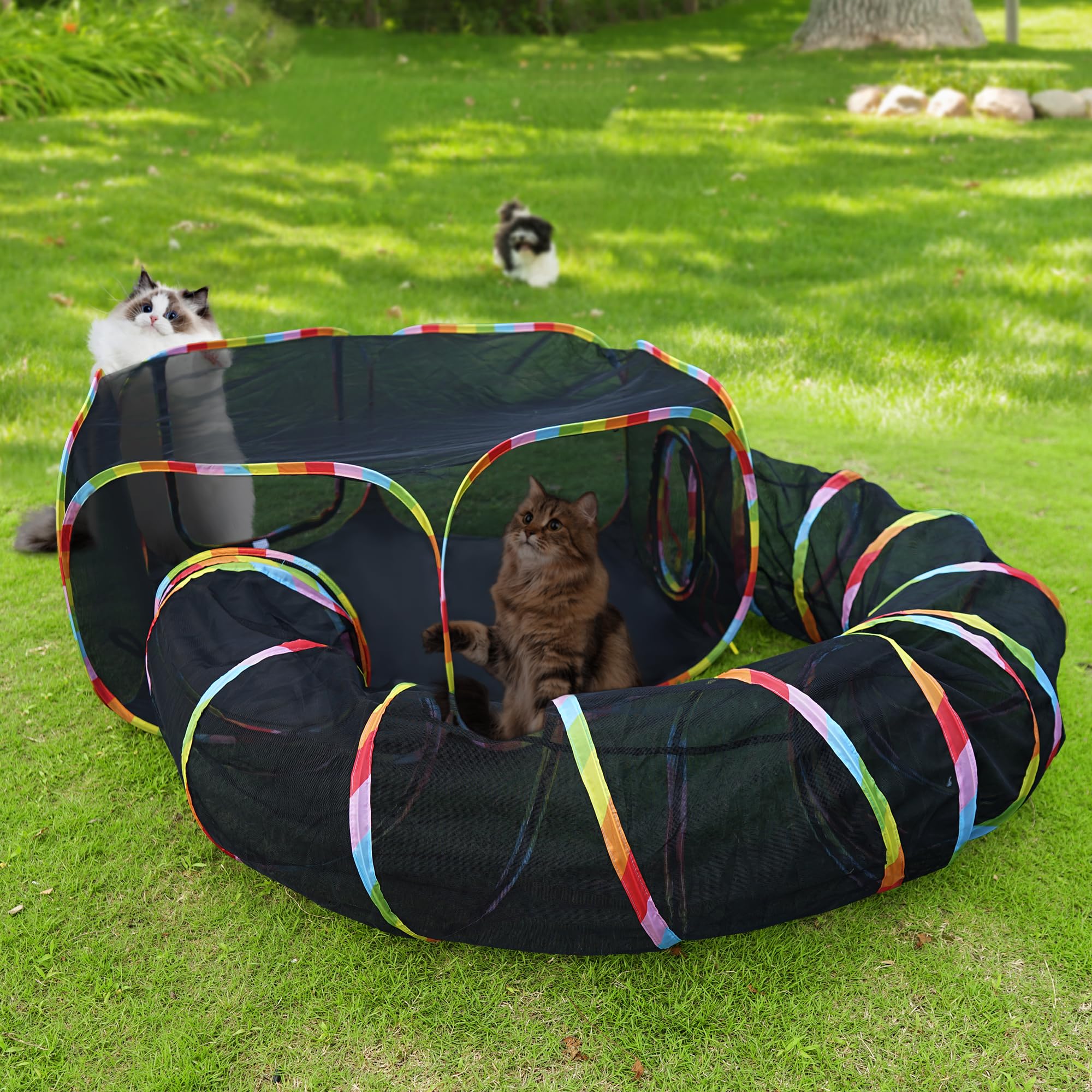 Amazon.com: WQU Outdoor Cat Tunnel, Outdoor Cat Enclosures Playground, Rainbow Cat Playpen for ...