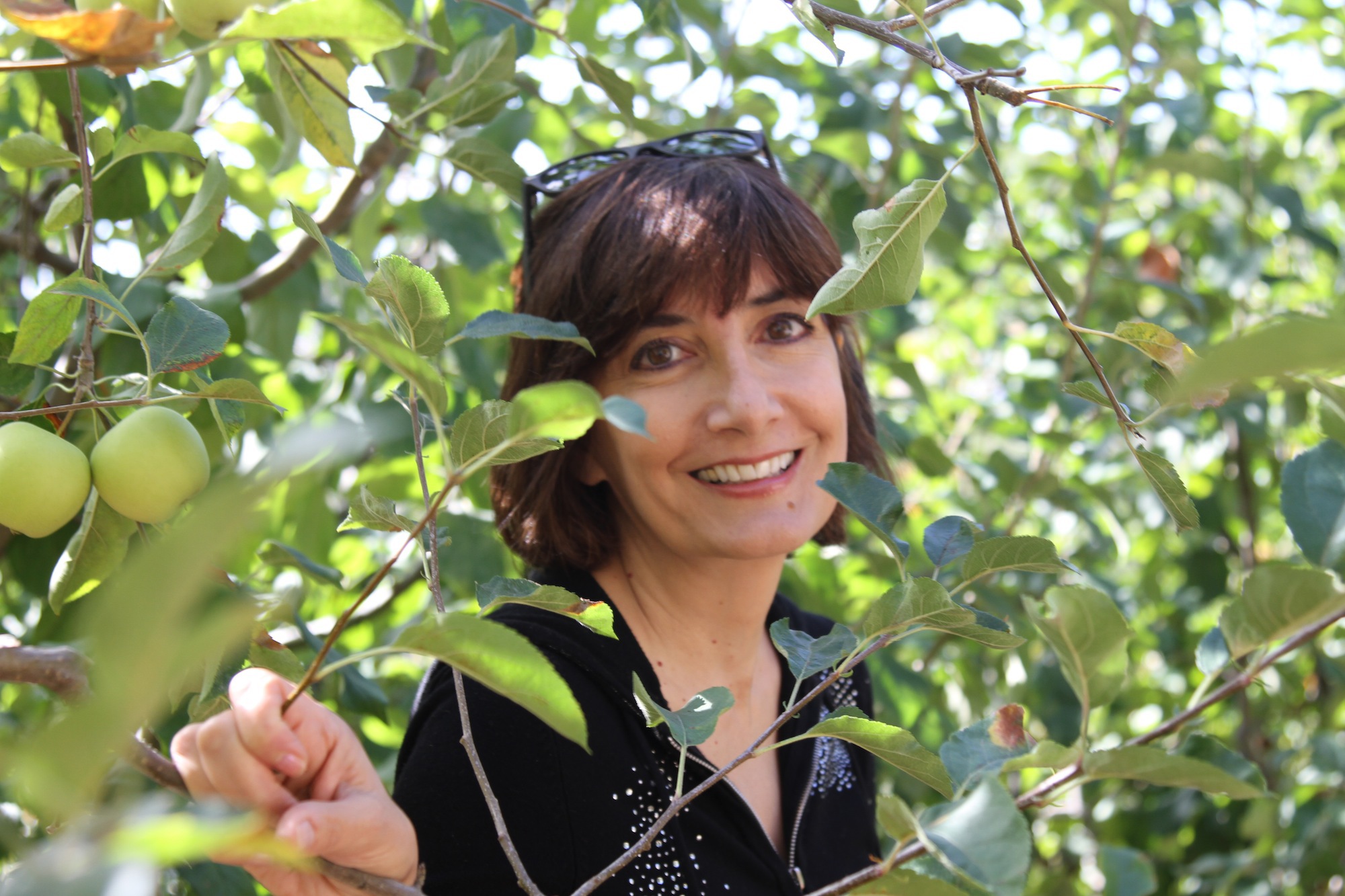 Amazon.co.uk: Joumana Accad: books, biography, latest update