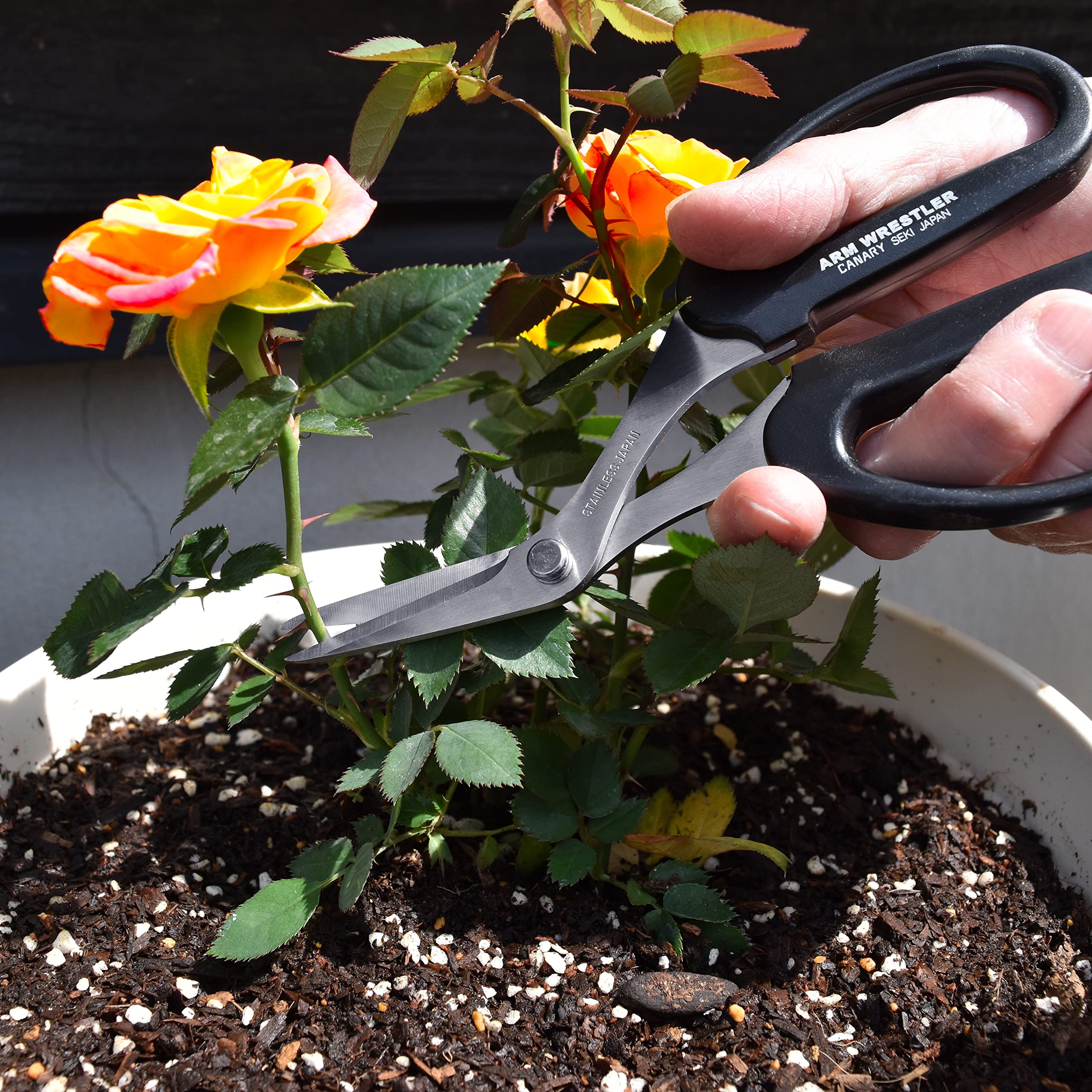Snapklik.com : Japanese Garden Scissors Curved Blade 6.5", Made In ...