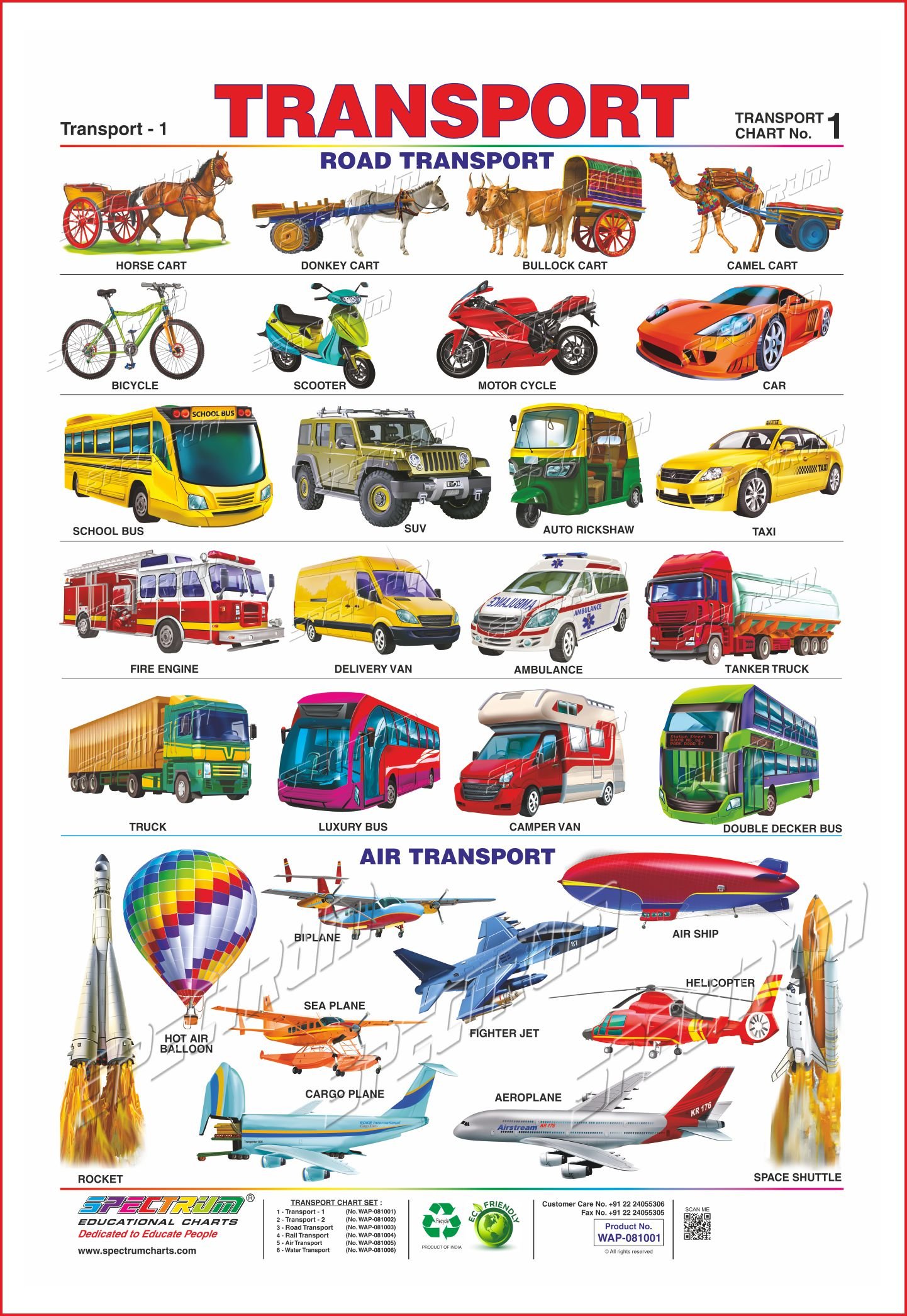 Buy Spectrum Educational Wall Chart (Two-In-One) : ( Transport 1 ...