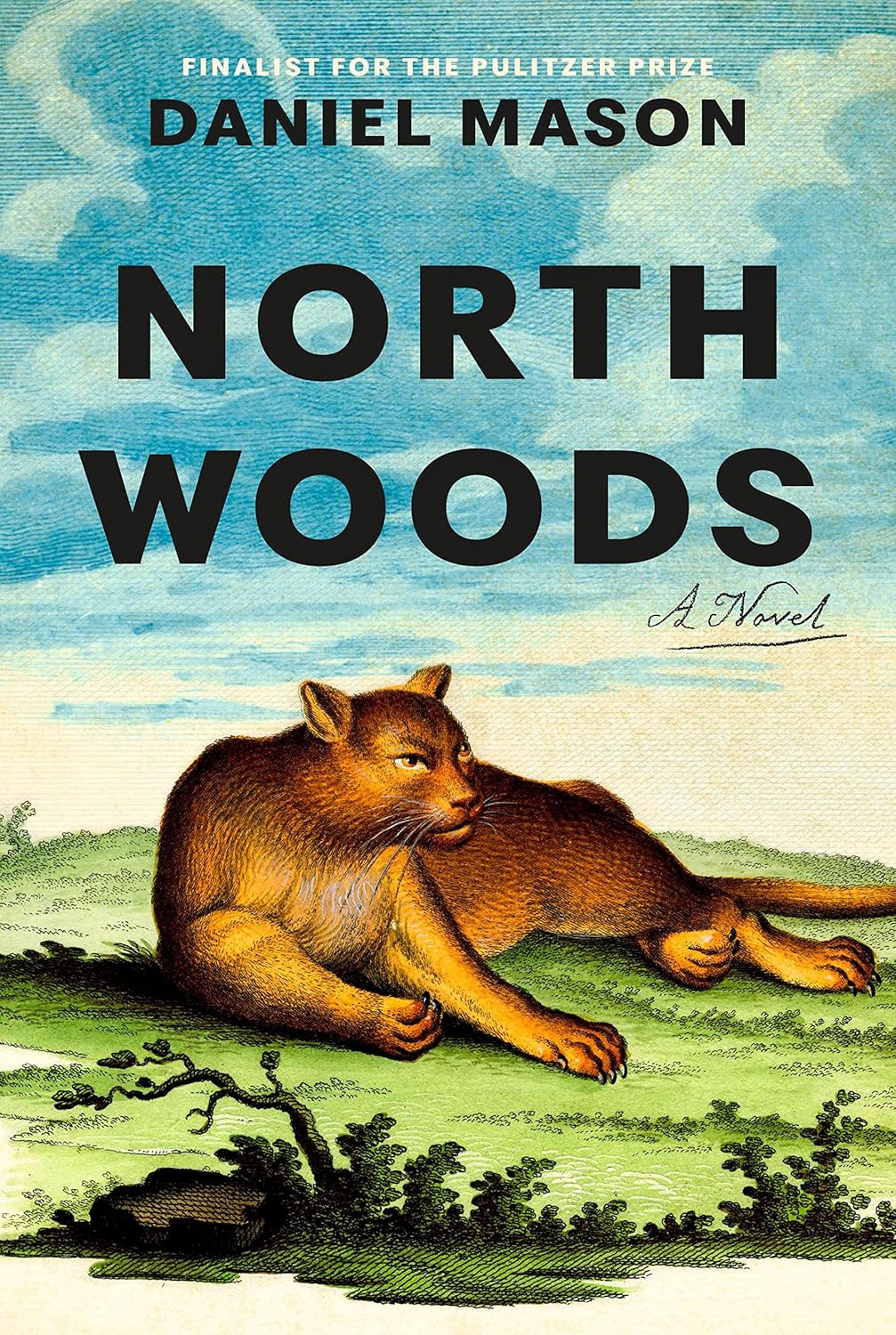 North Woods: A Novel: Amazon.co.uk: Mason, Daniel: 9780593730621: Books