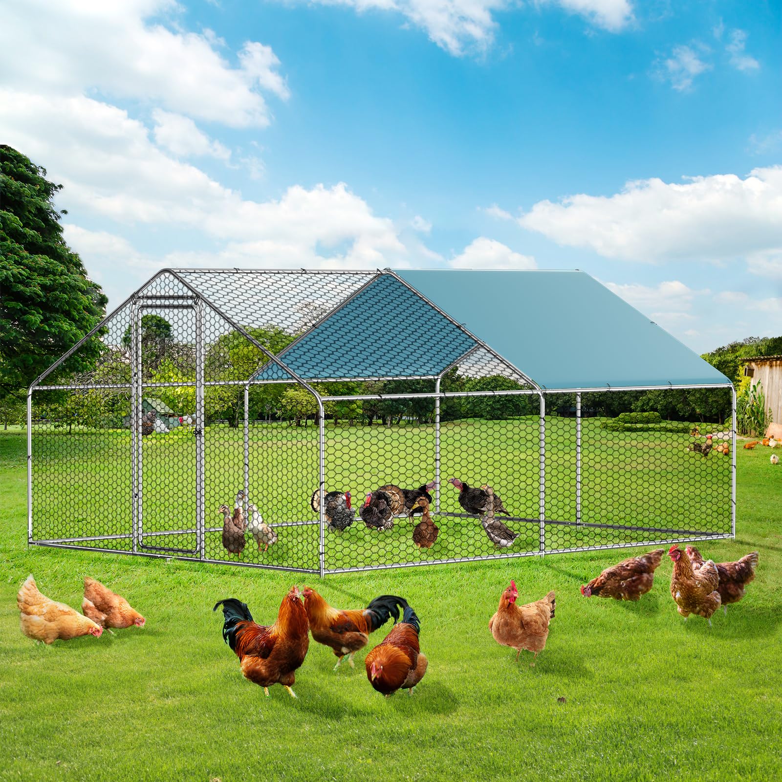 ROOMTEC Large Chicken Run Metal Chicken Coops for 10 Chickens,Chicken ...