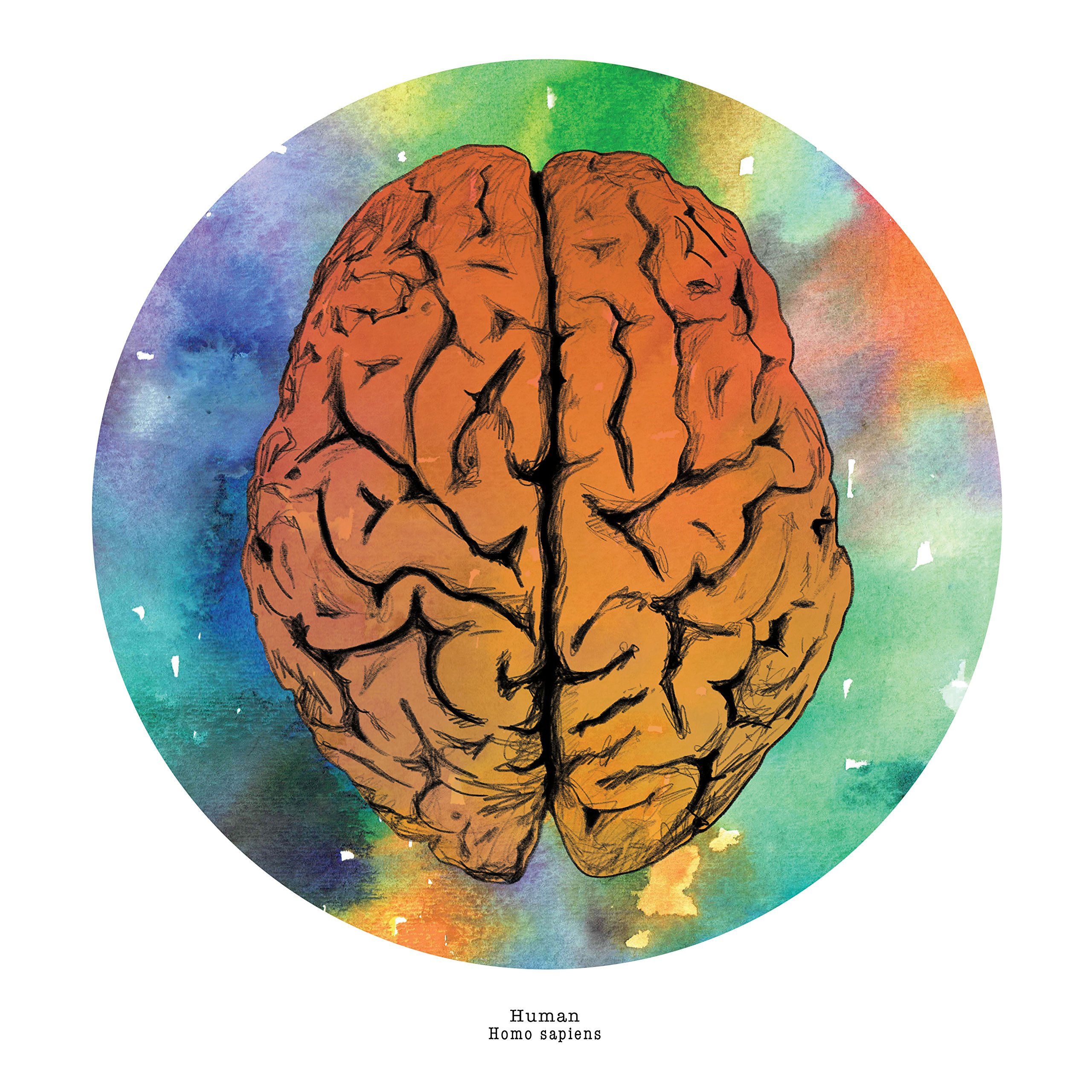 Neuroscience Brain Art
