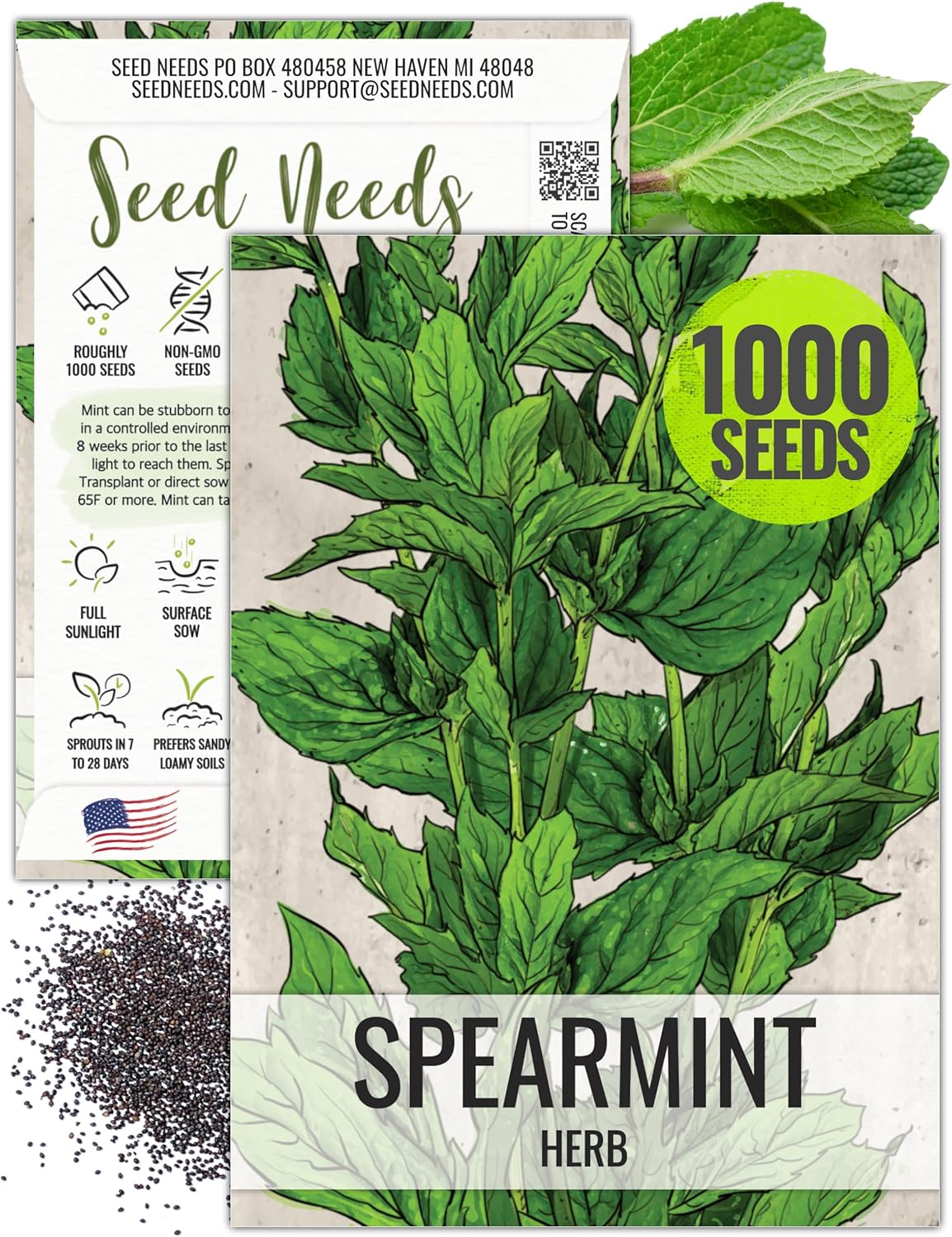 Amazon.com : Seed Needs Mint Seeds for Planting Spearmint Herbs - Non ...