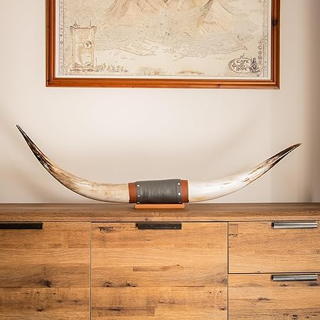 Amazon.com: Authentic Real Bull Longhorn/Leather Horn Mount - 45" to 49 ...