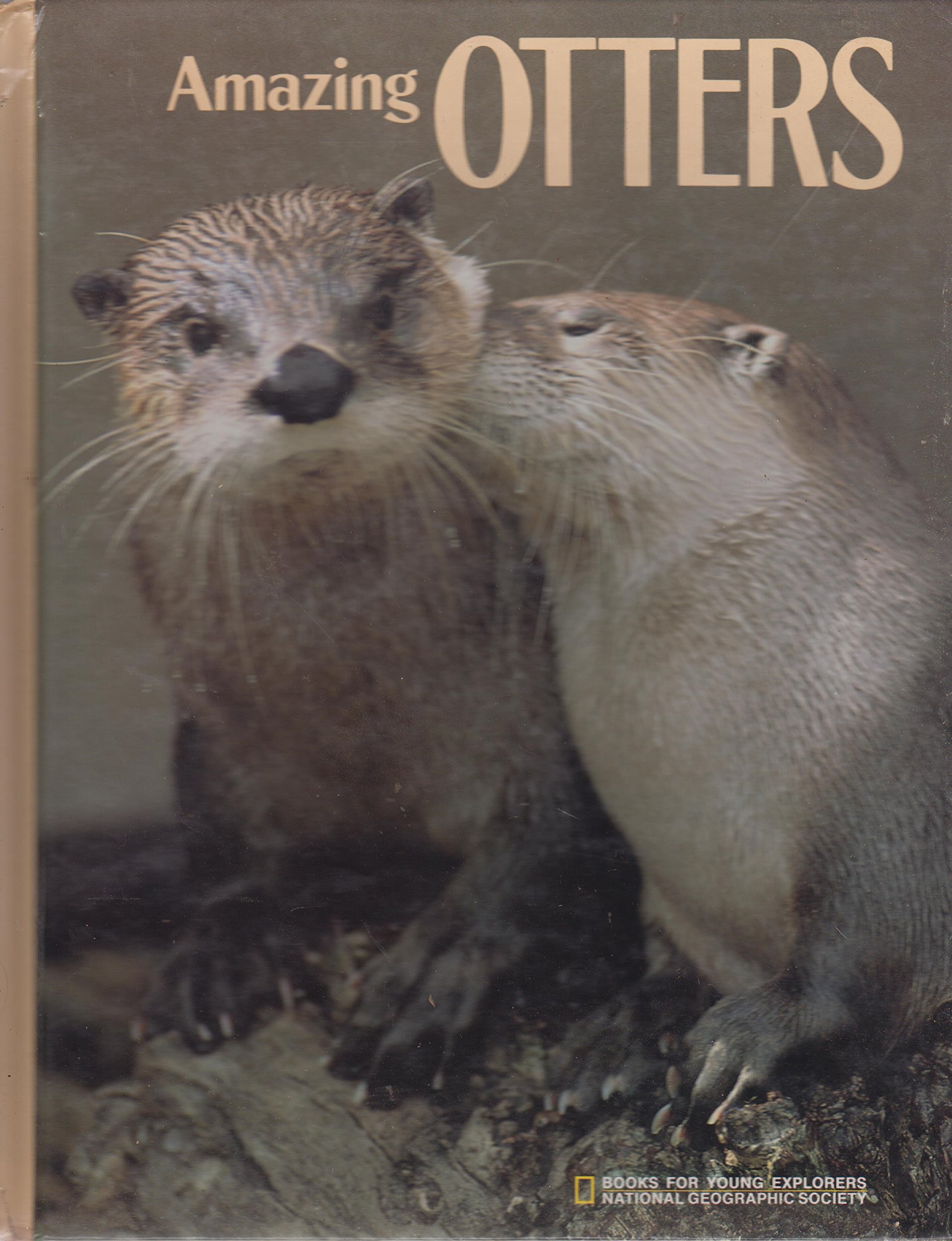 Amazing Otters (Books for Young Explorers): Brownell, M. Barbara: 9780870447754: Amazon.com: Books
