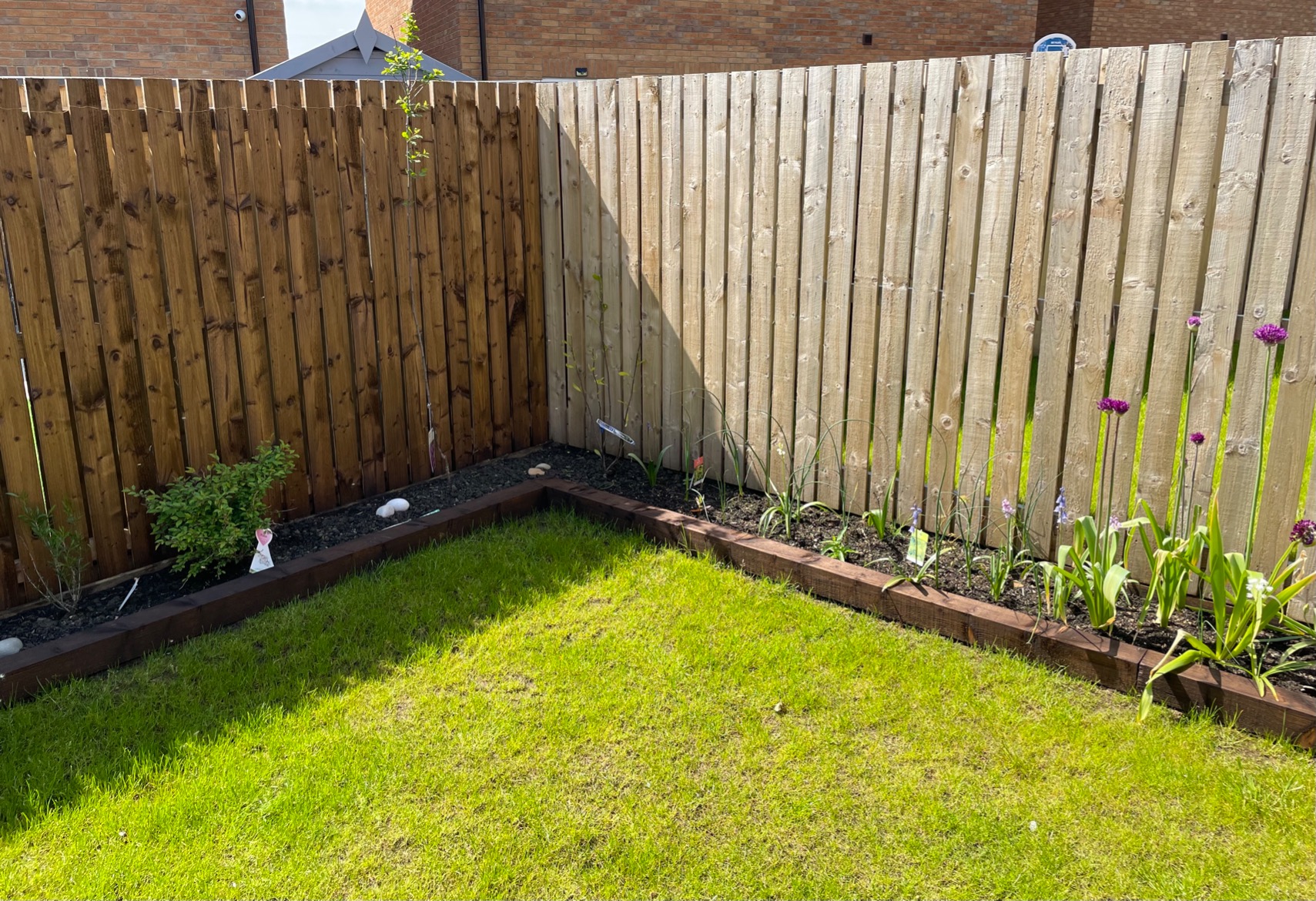 Bartoline Creocote Creosote Substitute Light Brown Timber Wood Fence ...