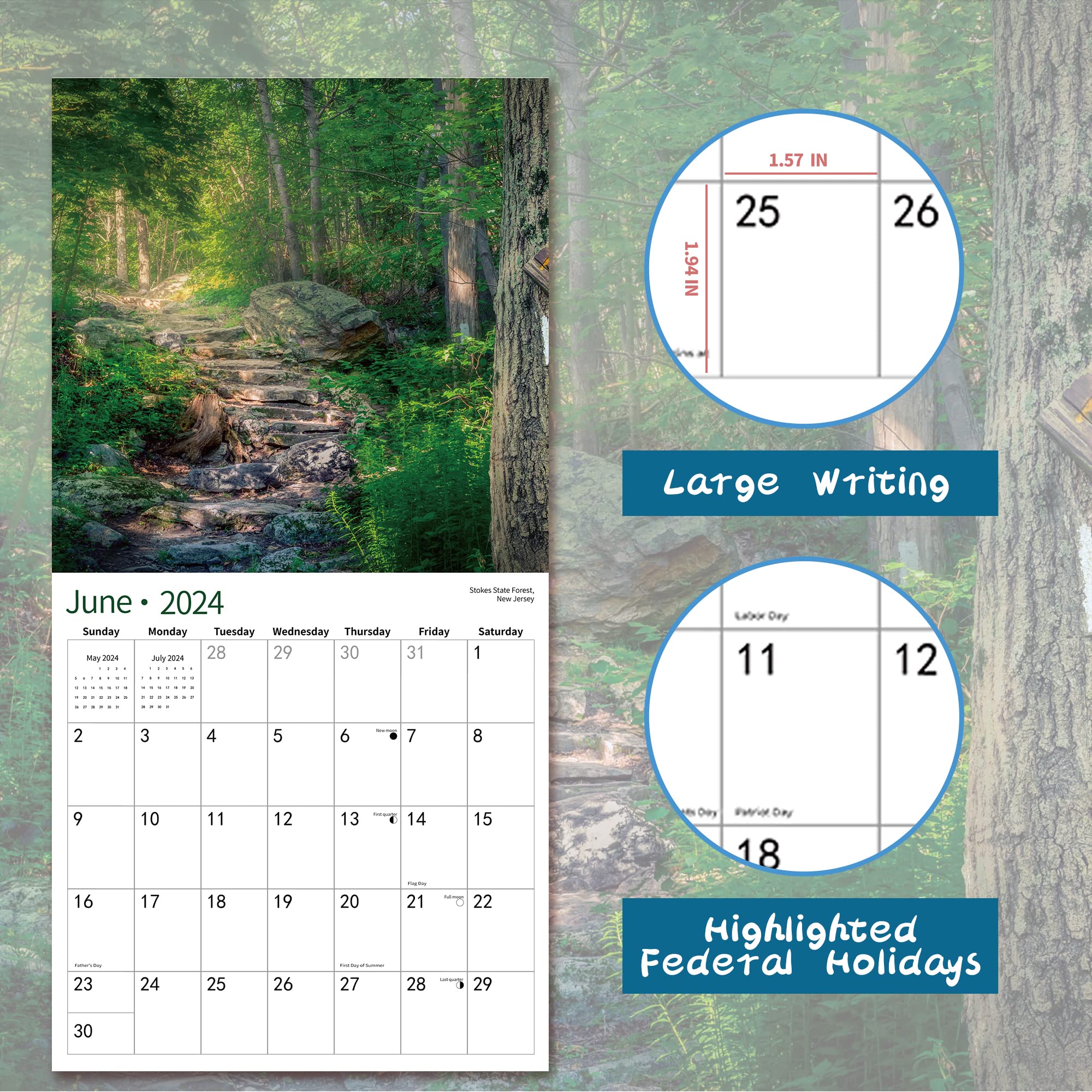 Snapklik.com : 2024 2025 Wall Calendar, November 2024 - December 2025 ...