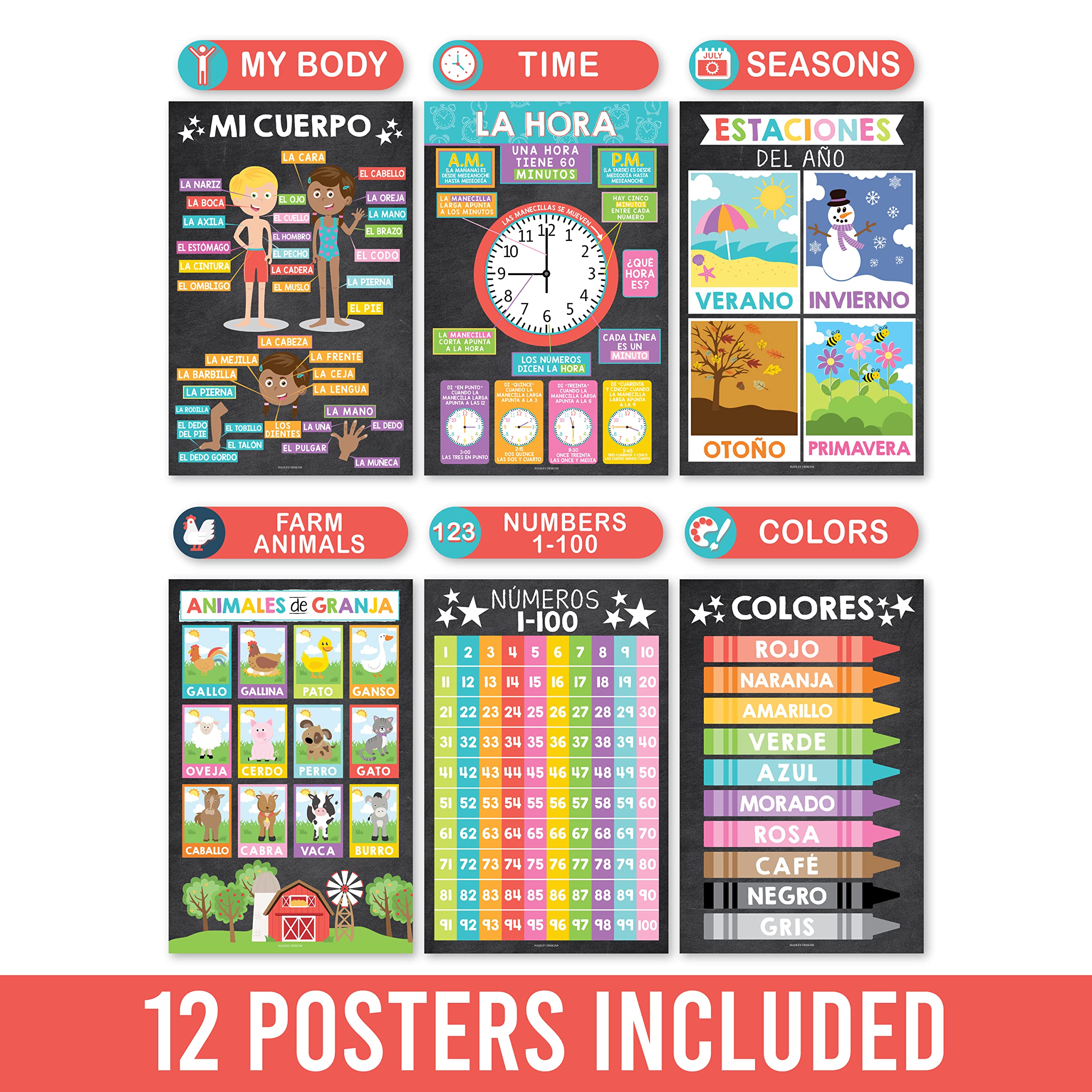 Spanish Classroom Posters Hadley Designs - 12 Laminated Educational ...
