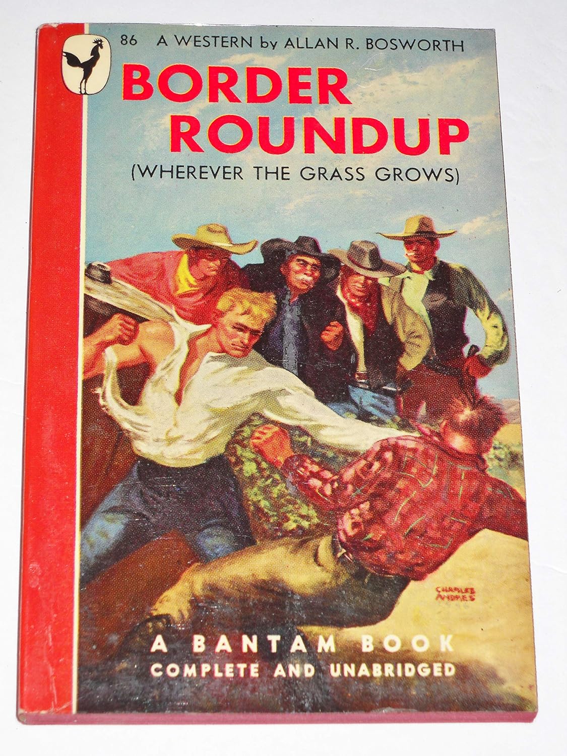 Border Roundup: Bosworth, Allan R.: Amazon.com: Books