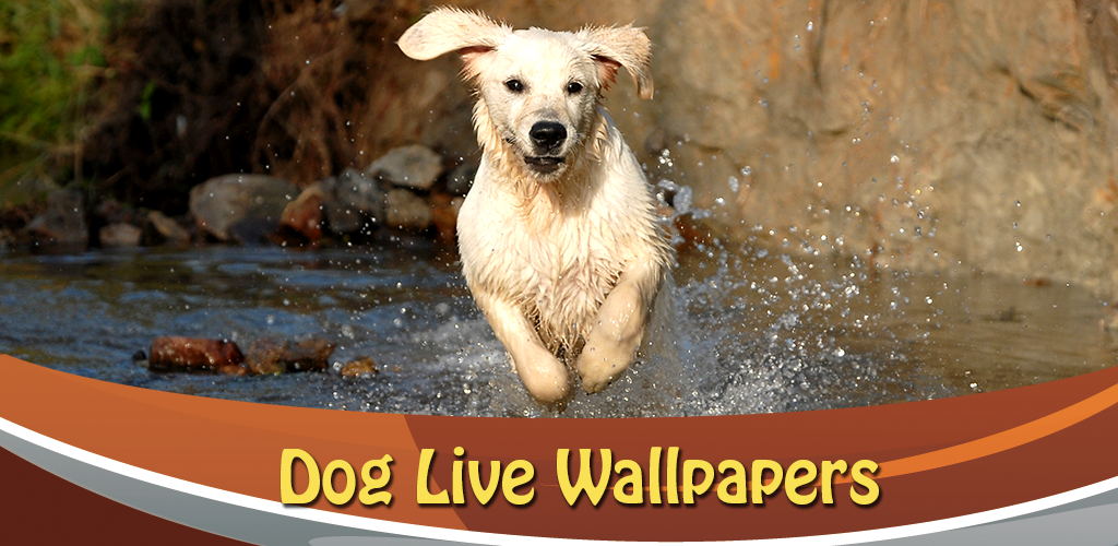 Live Wallpapers Of Dogs 3D Dog Wallpapers & Animated Phone Wallpapers