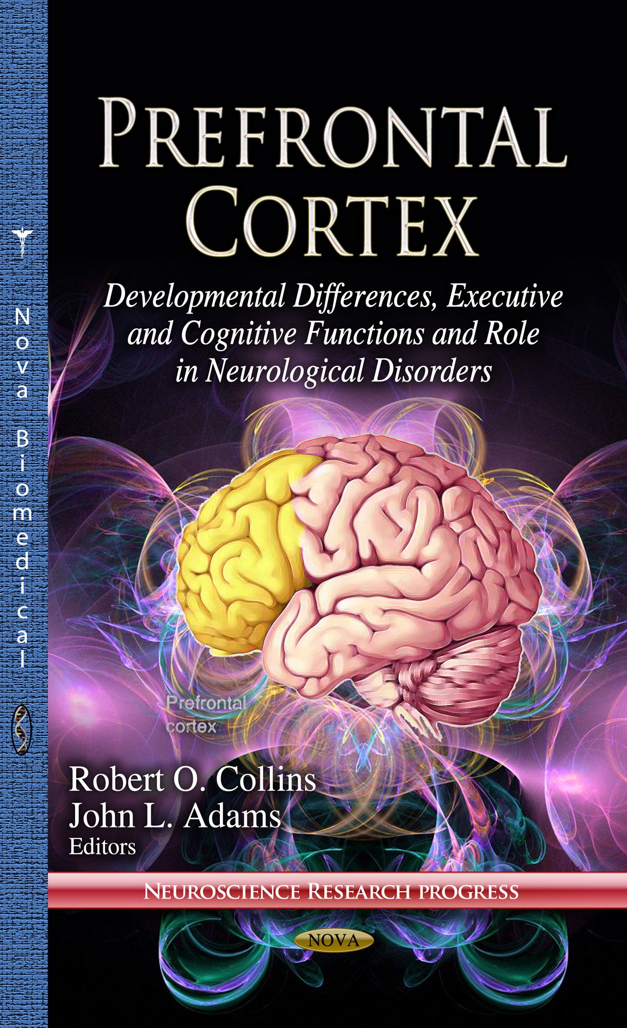 Prefrontal Cortex: Developmental Differences, Executive and Cognitive ...