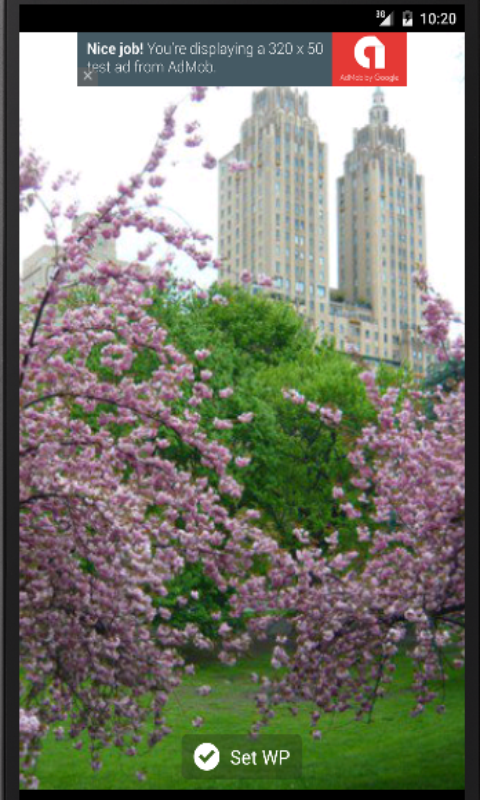 Spring Cool Wallpapers - App on Amazon Appstore