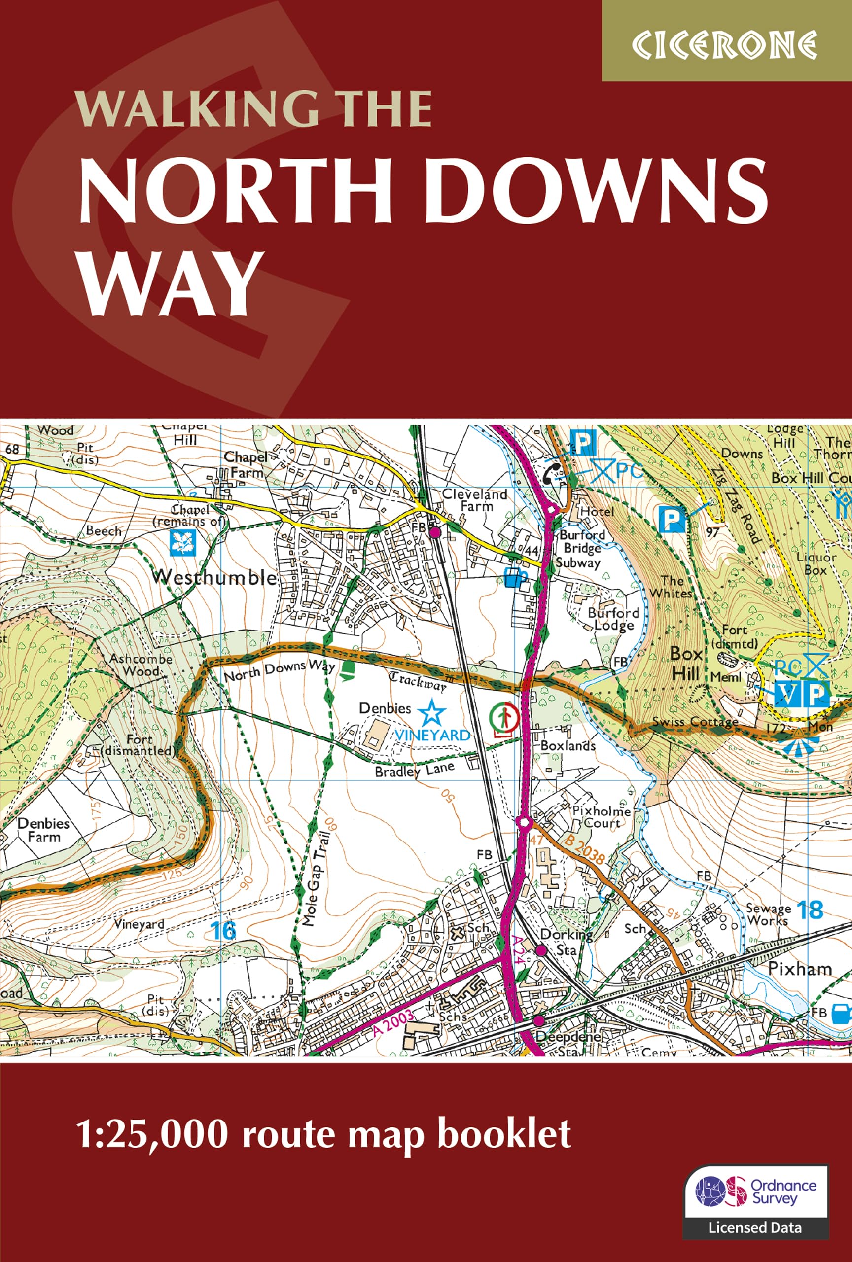 South Downs Way Map