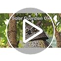 Amazon.com: Owlsome Solar Owl with Flashing Eyes, Rotating Head, Hoot ...