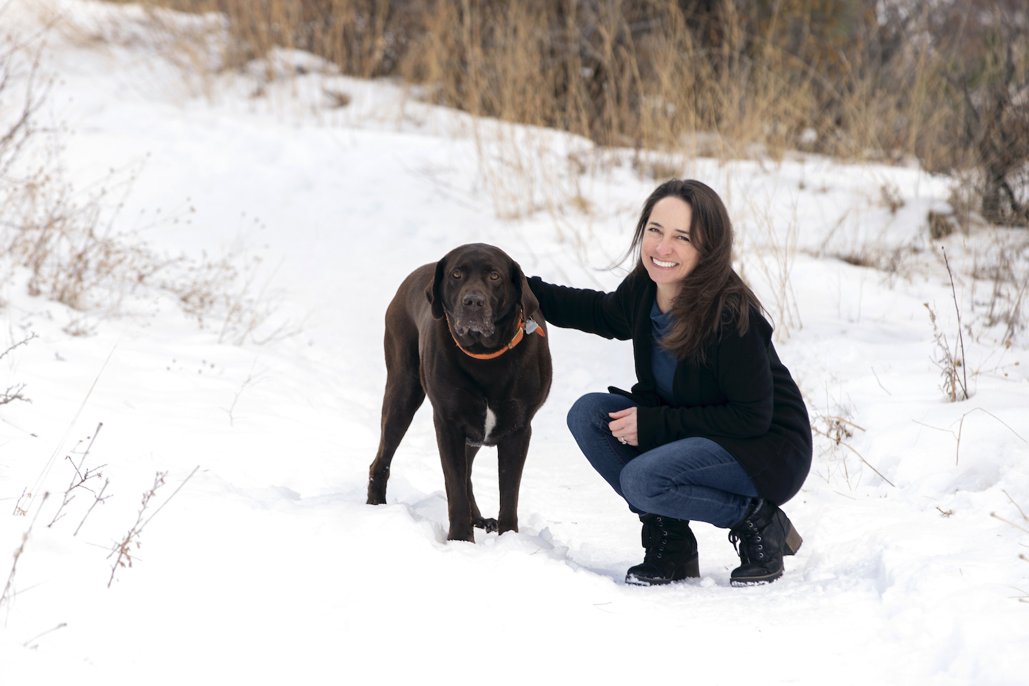 Amazon.co.uk: Sarah Elkins: books, biography, latest update