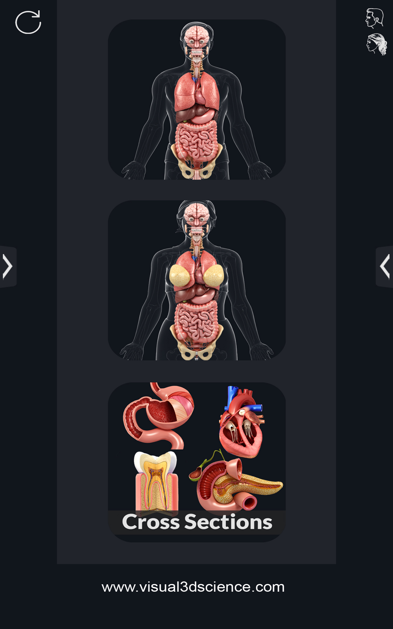Organs Anatomy Pro. - App on Amazon Appstore