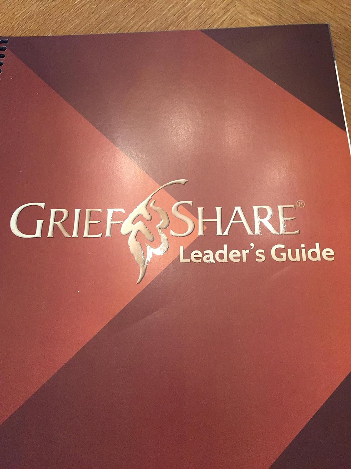 Grief share Leaders Guide: Griefshare: Amazon.com: Books