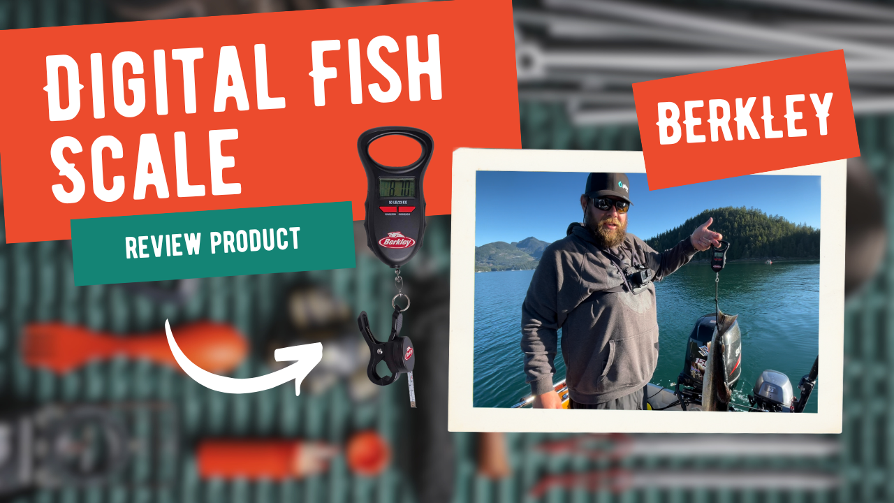 Watch Full Review of the Berkley Digital Scale on Amazon Live