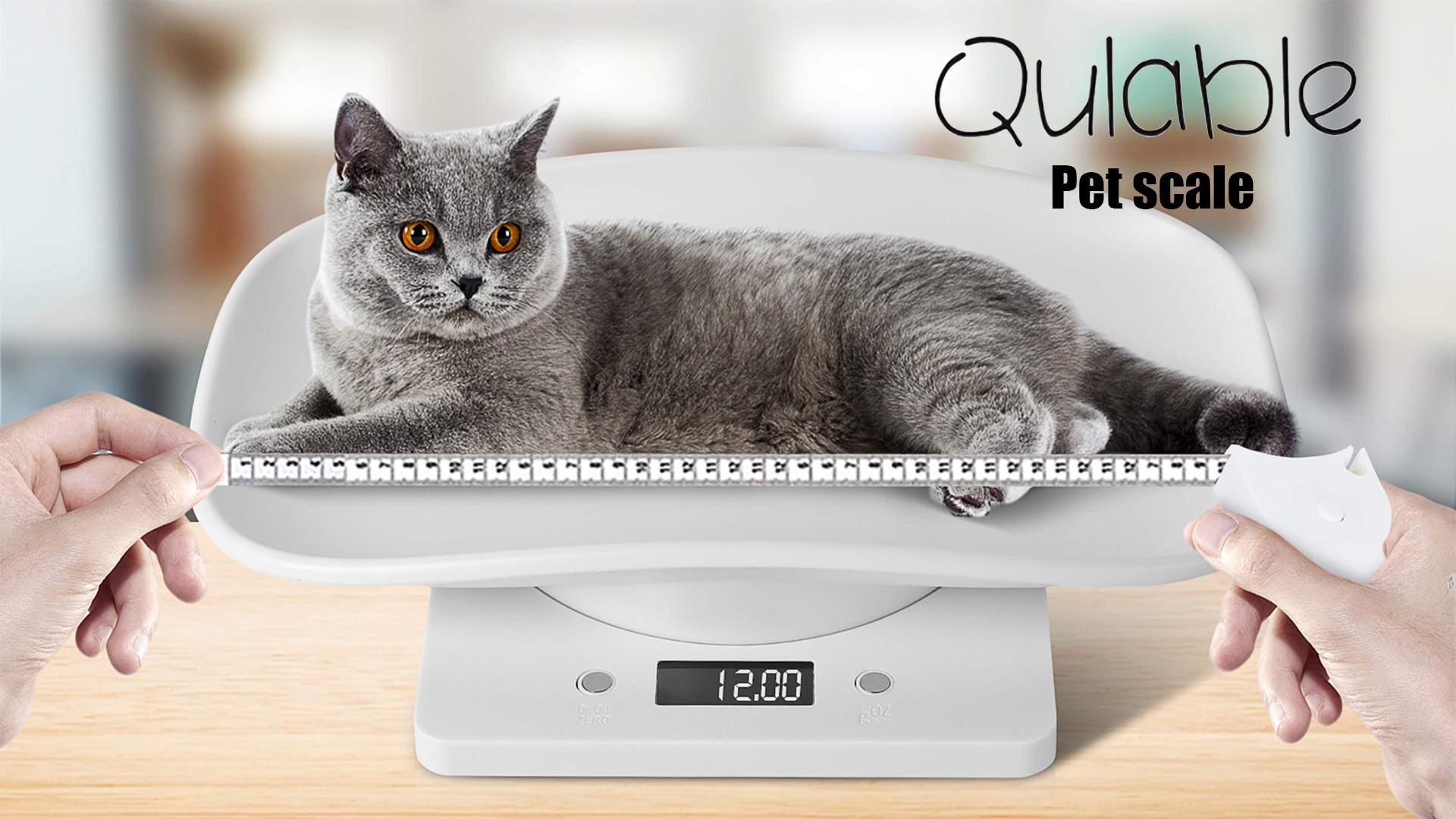 Watch Qulable pet scale on Amazon Live