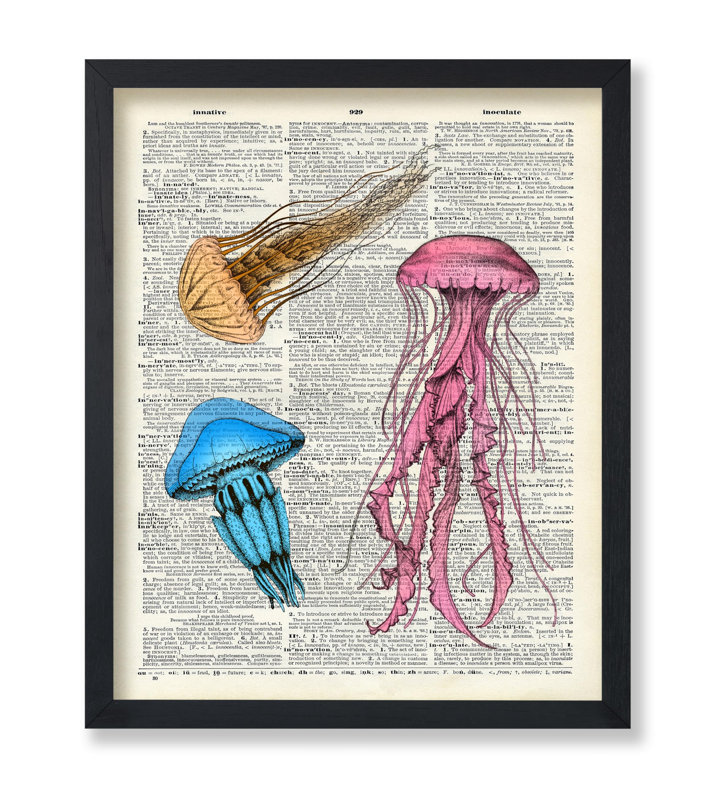 Jellyfish Quotes 28 Jellyfish Quotes To Promote Simplicity And