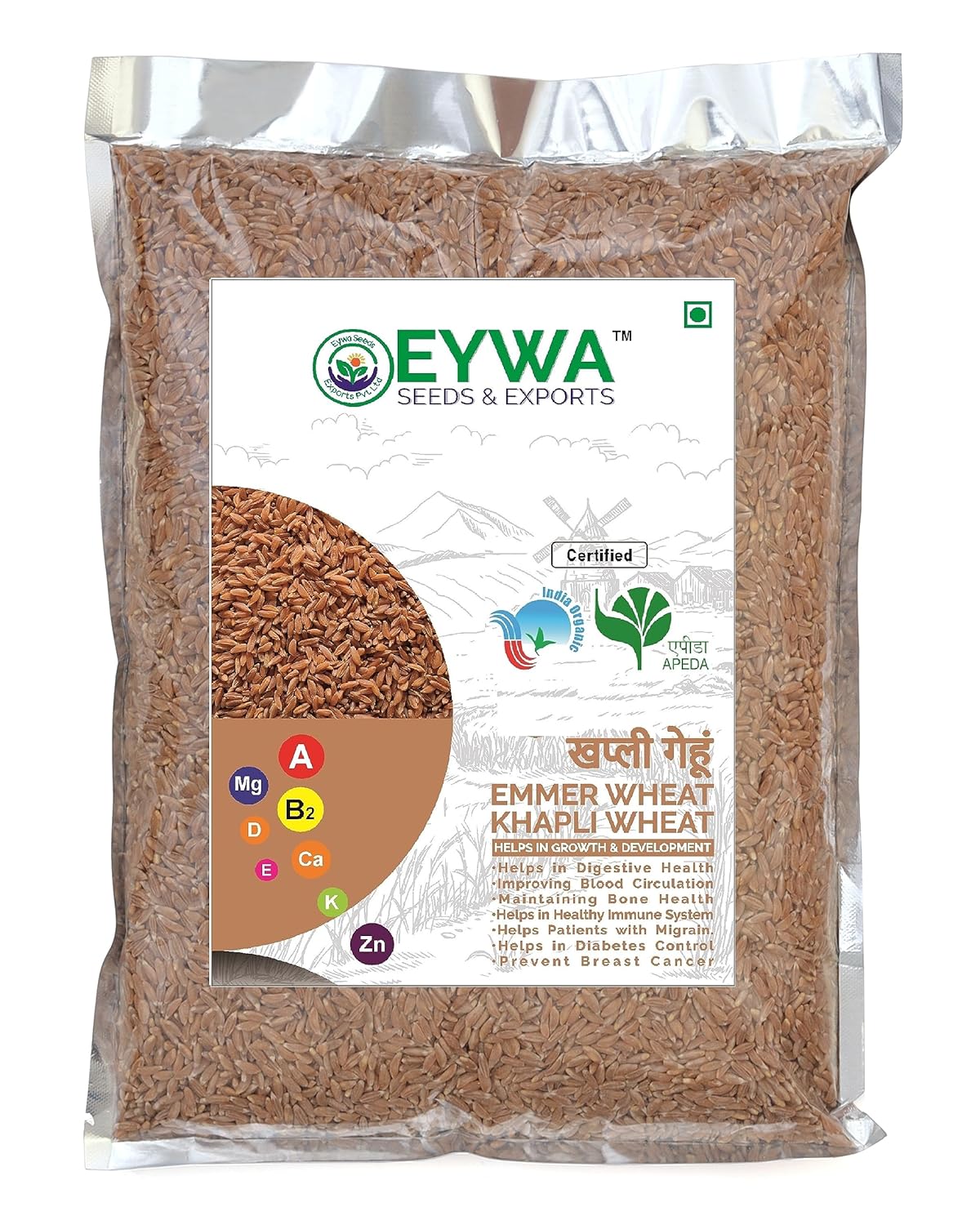 Organic Khapli Wheat Whole Grains (2 Kg) For Eating And Cooking|Khapli ...