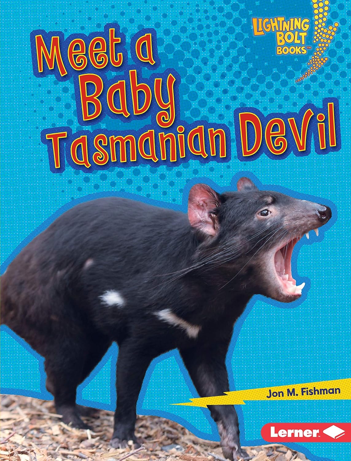 Meet a Baby Tasmanian Devil (Lightning Bolt Books ® — Baby Australian ...