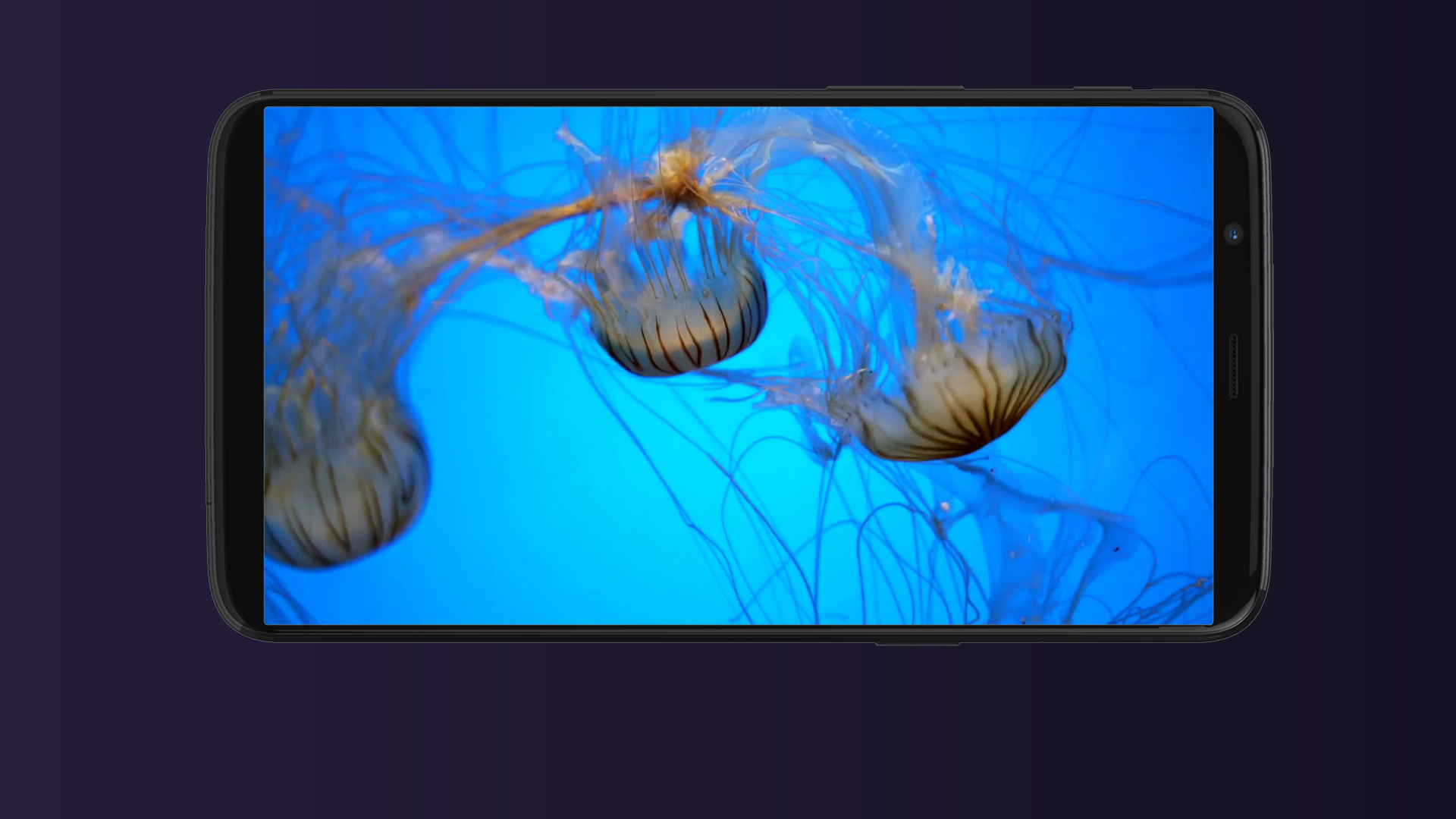 Ocean Glow Jellyfish for Fire TV - App on Amazon Appstore