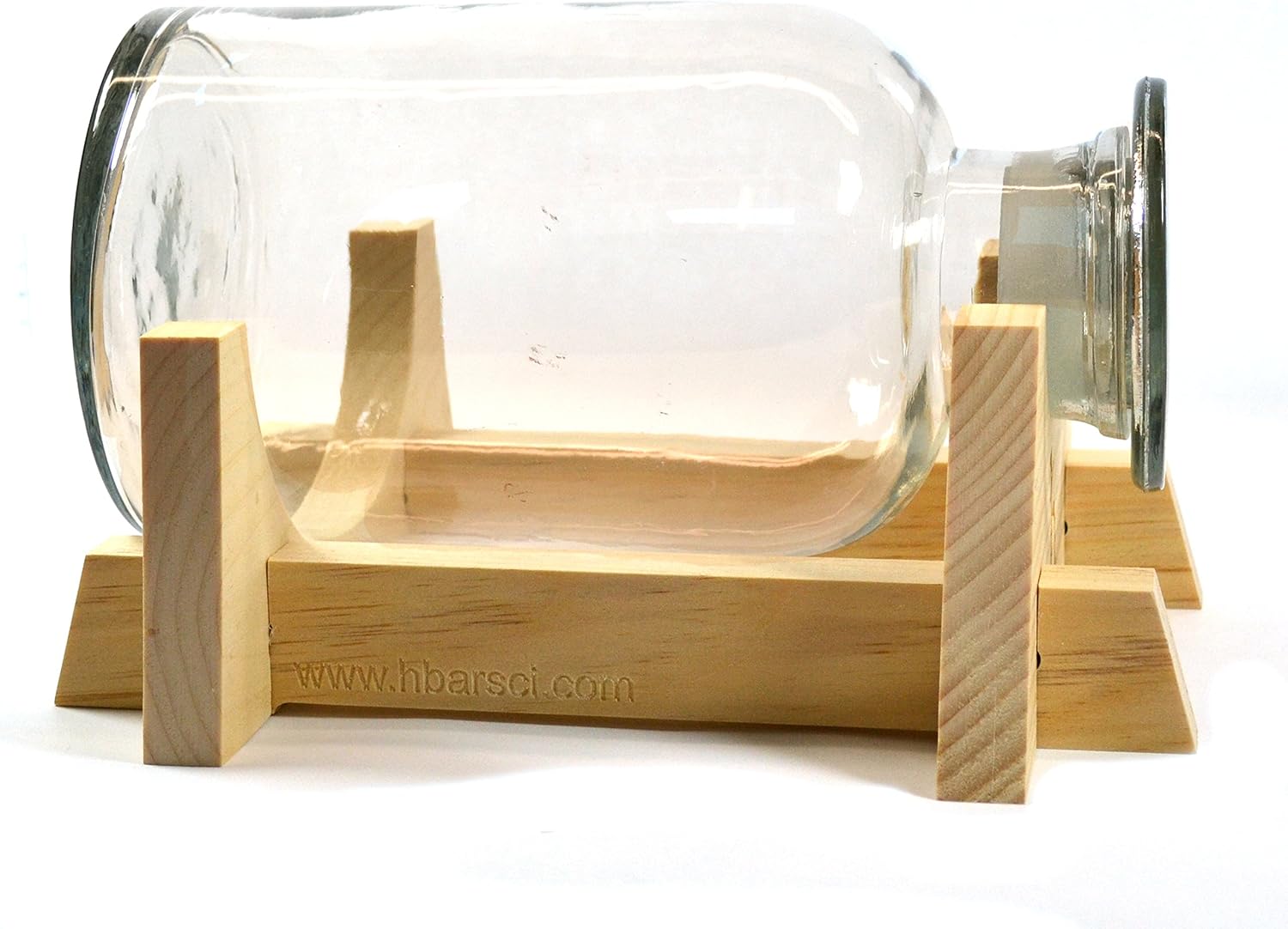 Amazon.com: 10" Laboratory Glass Terrarium with Wooden Stand Made in ...