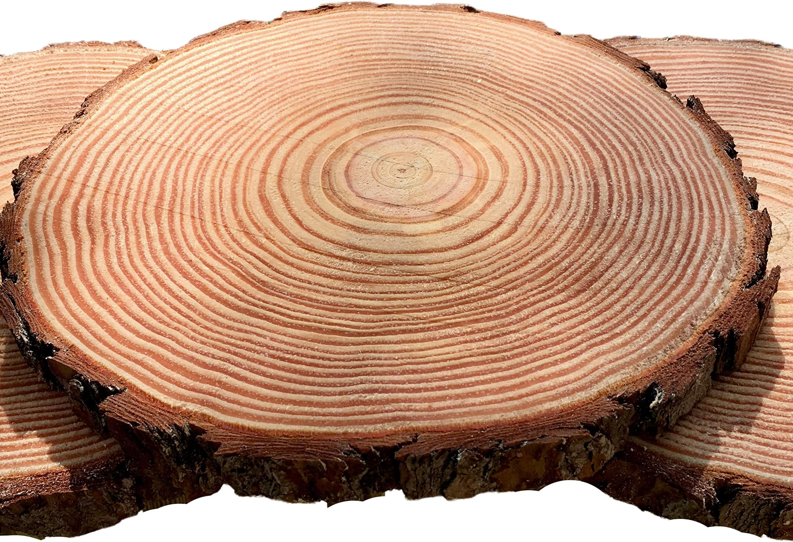 Amazon.com: FUNSUEI 12 PCS 6-7 Inches Unfinished Natural Wood Slices ...