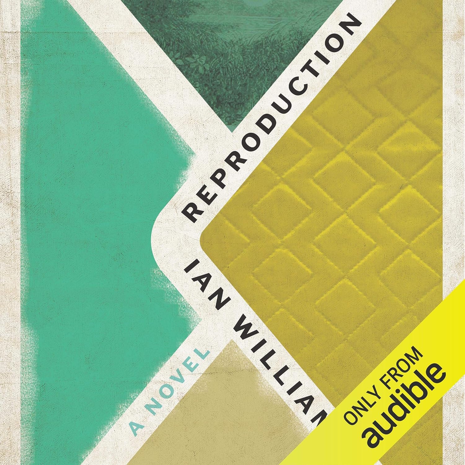 Amazon.com: Reproduction: A Novel (Audible Audio Edition): Ian Williams ...