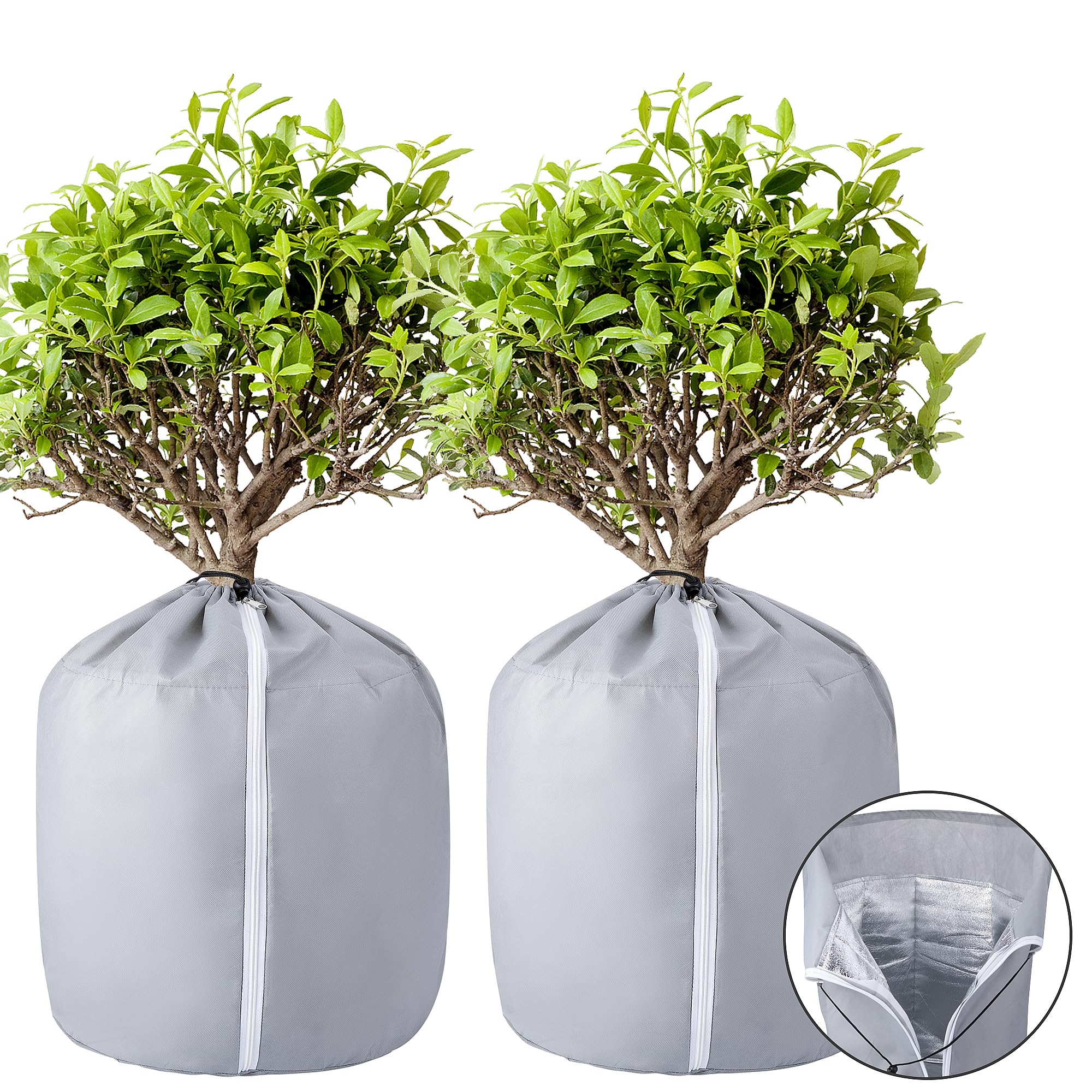 Container Plant Protection Winter Protection For Potted Trees And