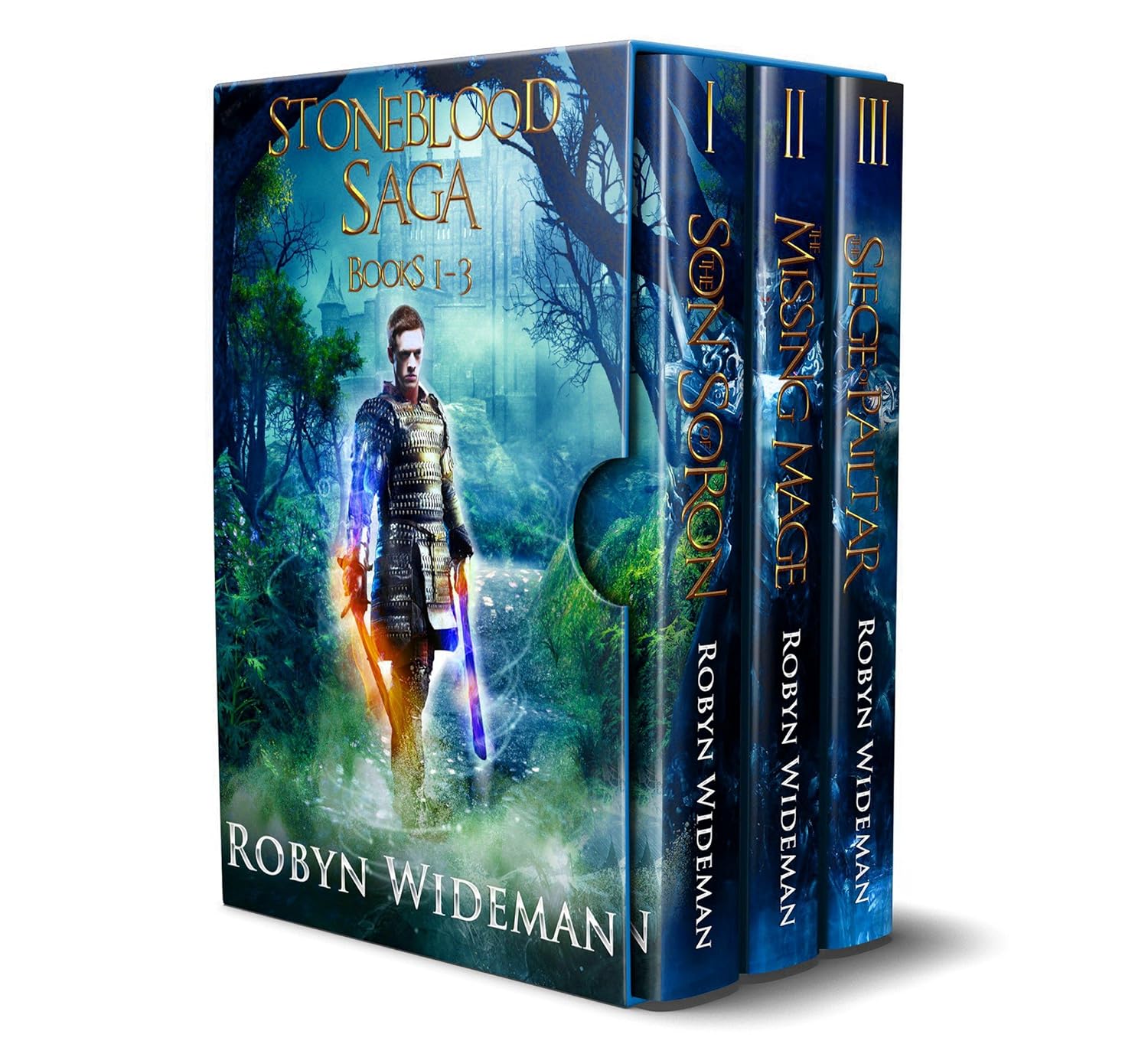 STONEBLOOD SAGA BOXSET: Books 1-3 - Kindle edition by Wideman, Robyn ...