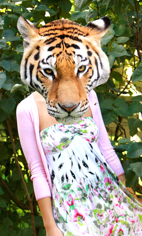 Animal Face - App on Amazon Appstore