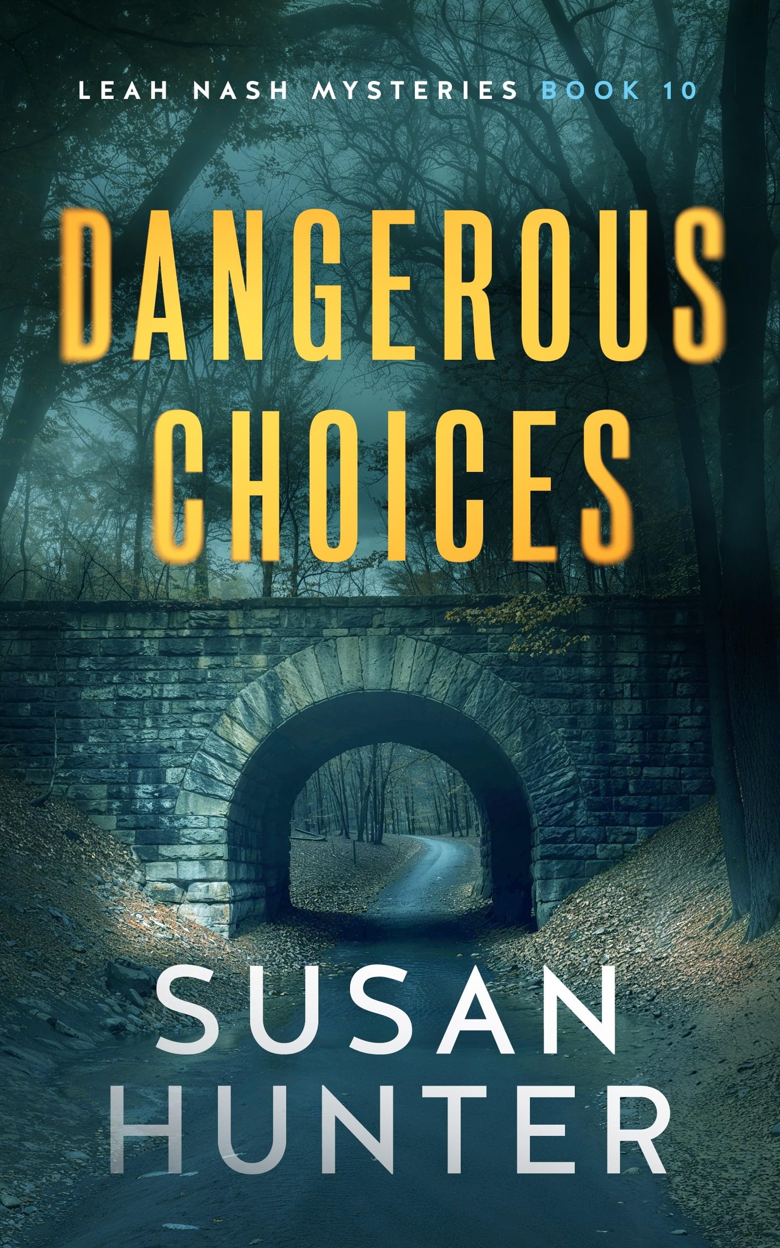 Dangerous Choices (Leah Nash Mysteries, 10): Hunter, Susan ...