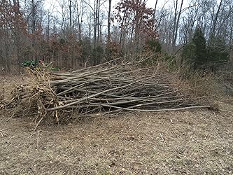 Amazon.com: Brush Grubber BG-01 Original Brush Grubber Root Puller ...