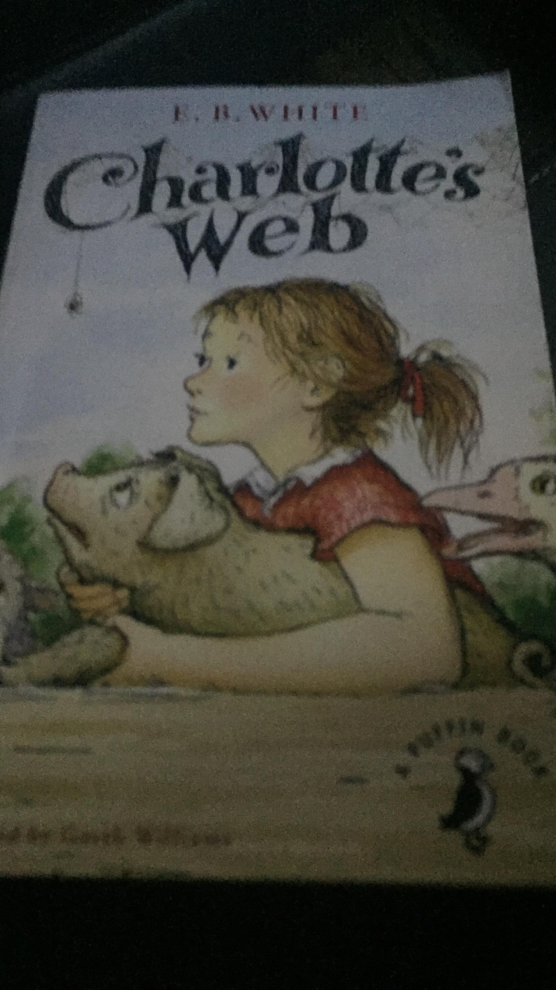 Charlotte's Web (Audio Download): E. B. White, Melissa Sweet, Meryl ...