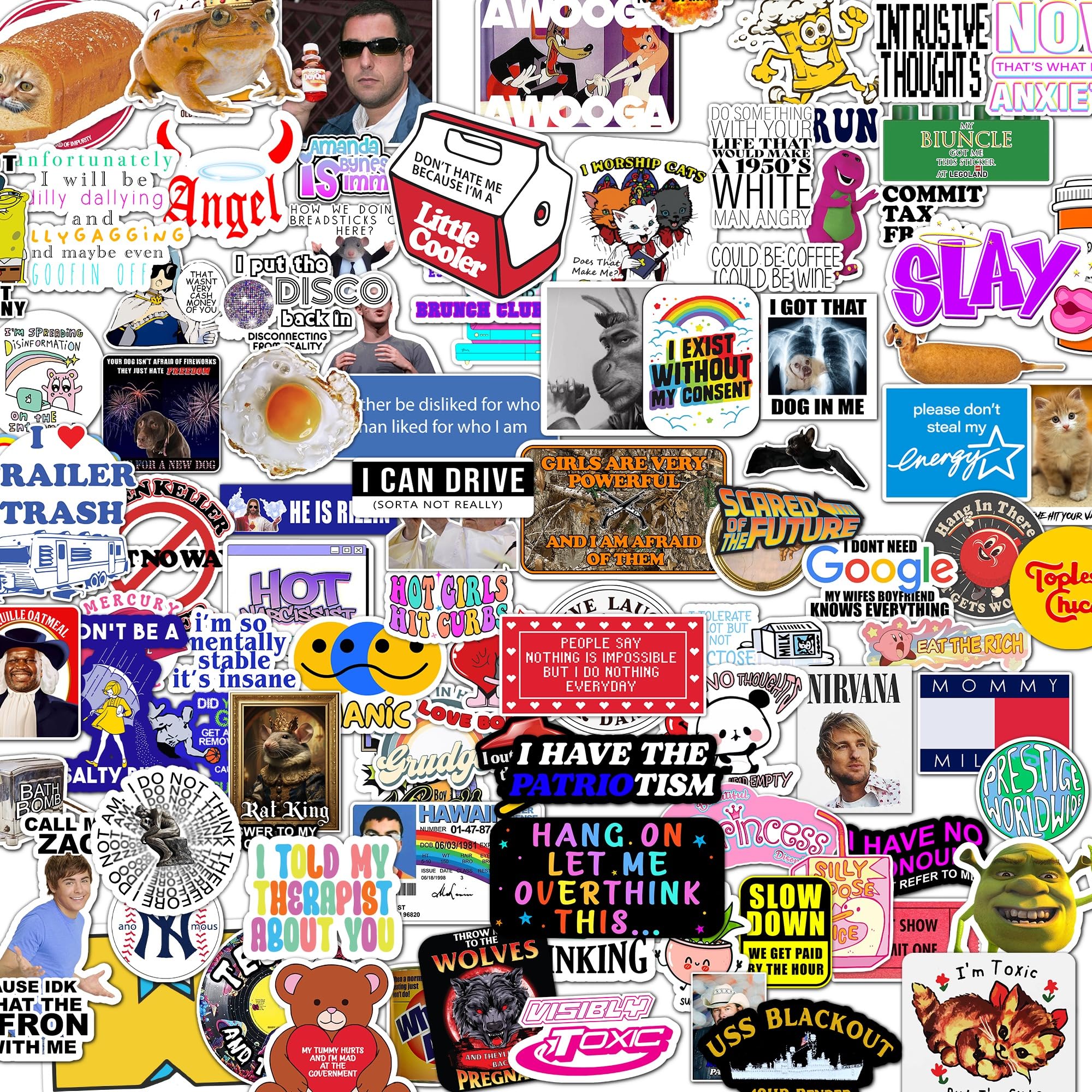 Amazon.com: 100pcs Viral Funny Stickers Teens/Adults, Laptop, Water ...