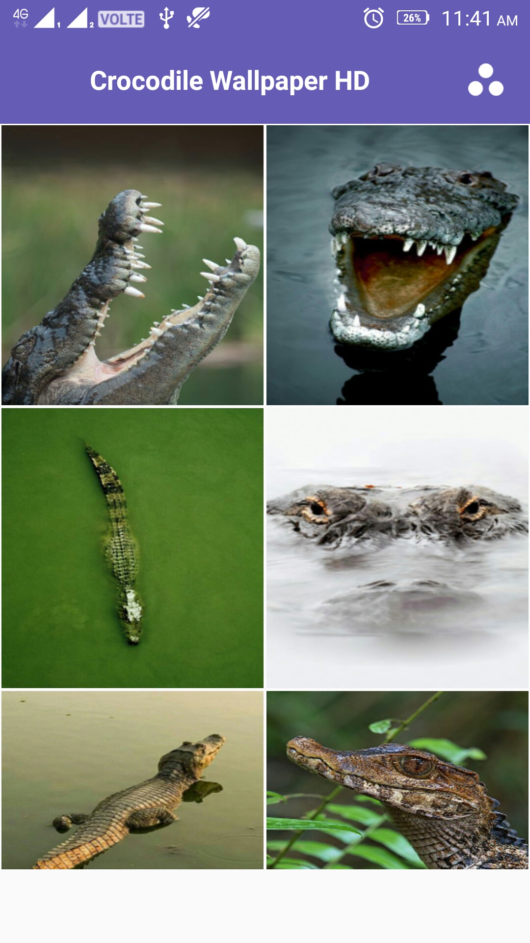 Crocodile 4k Wallpaper - App on Amazon Appstore