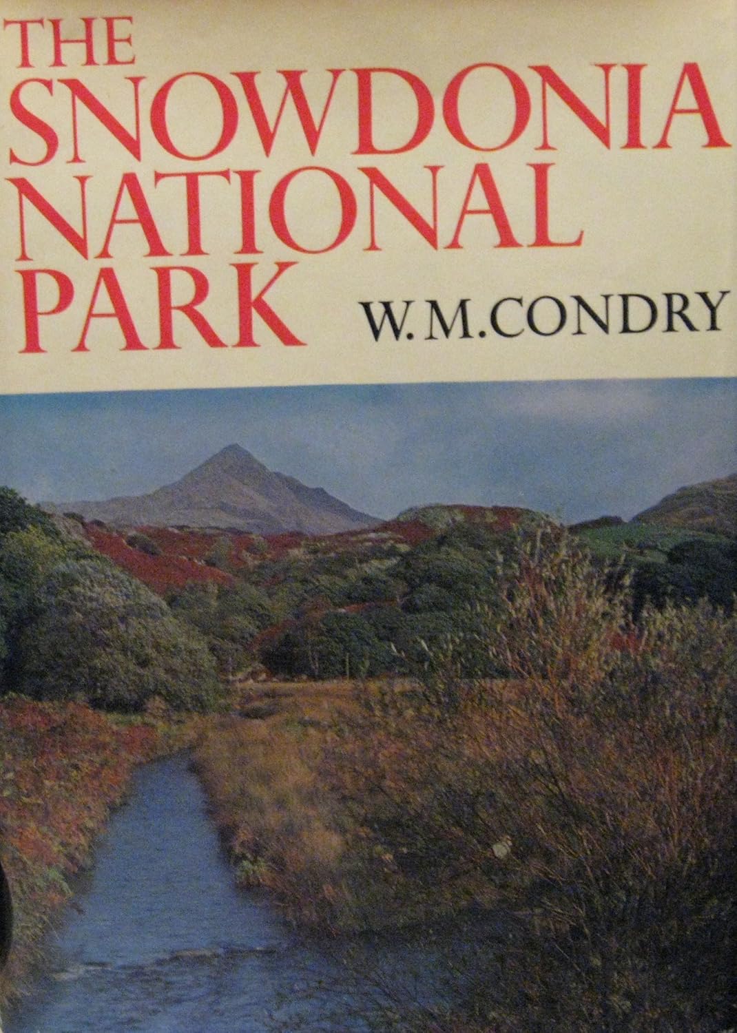 The Snowdonia National Park: A Definitive Guide to the Geology and ...